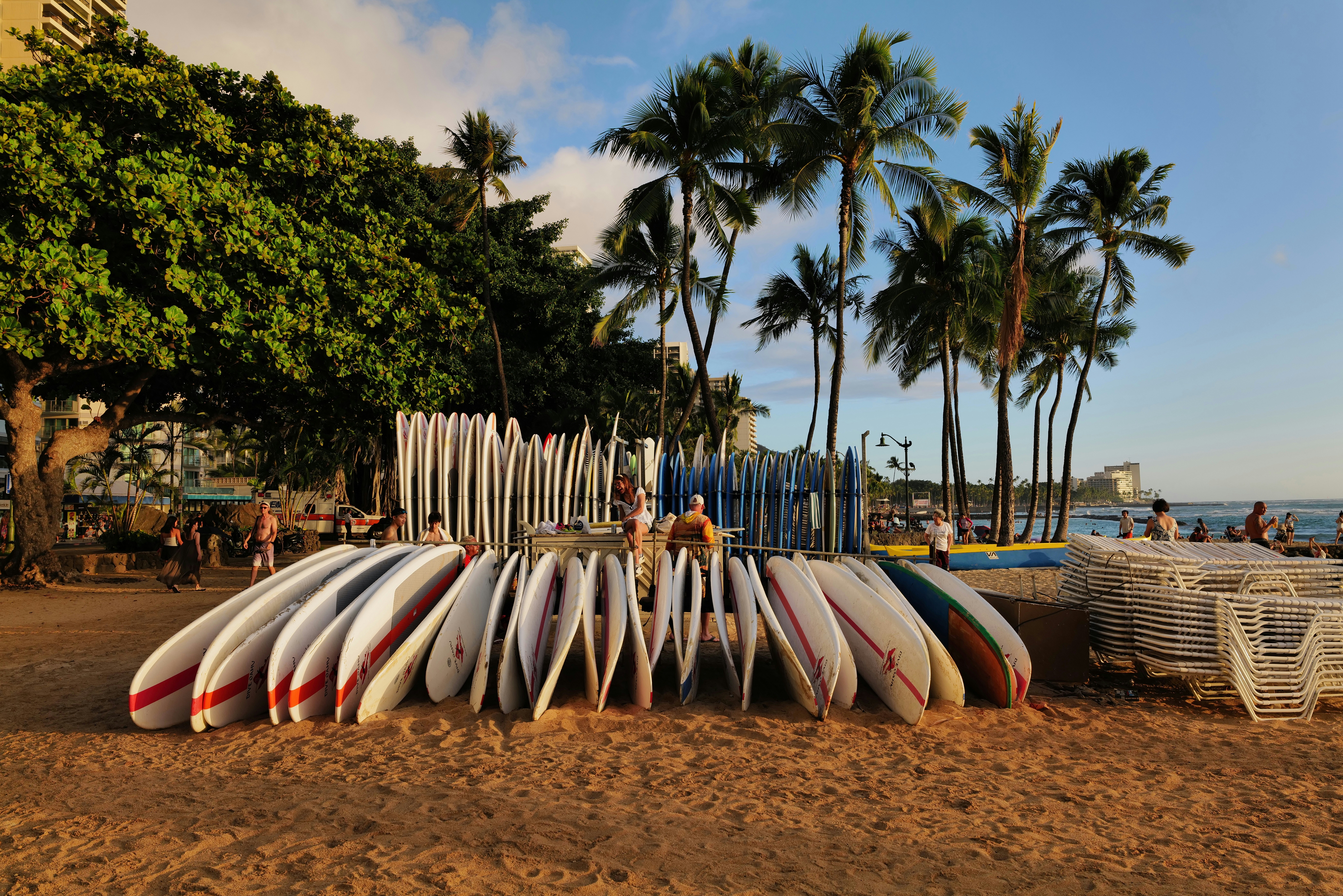 Sun-bleached Surfboards Stand Guard on a Palm-Fringed Beach