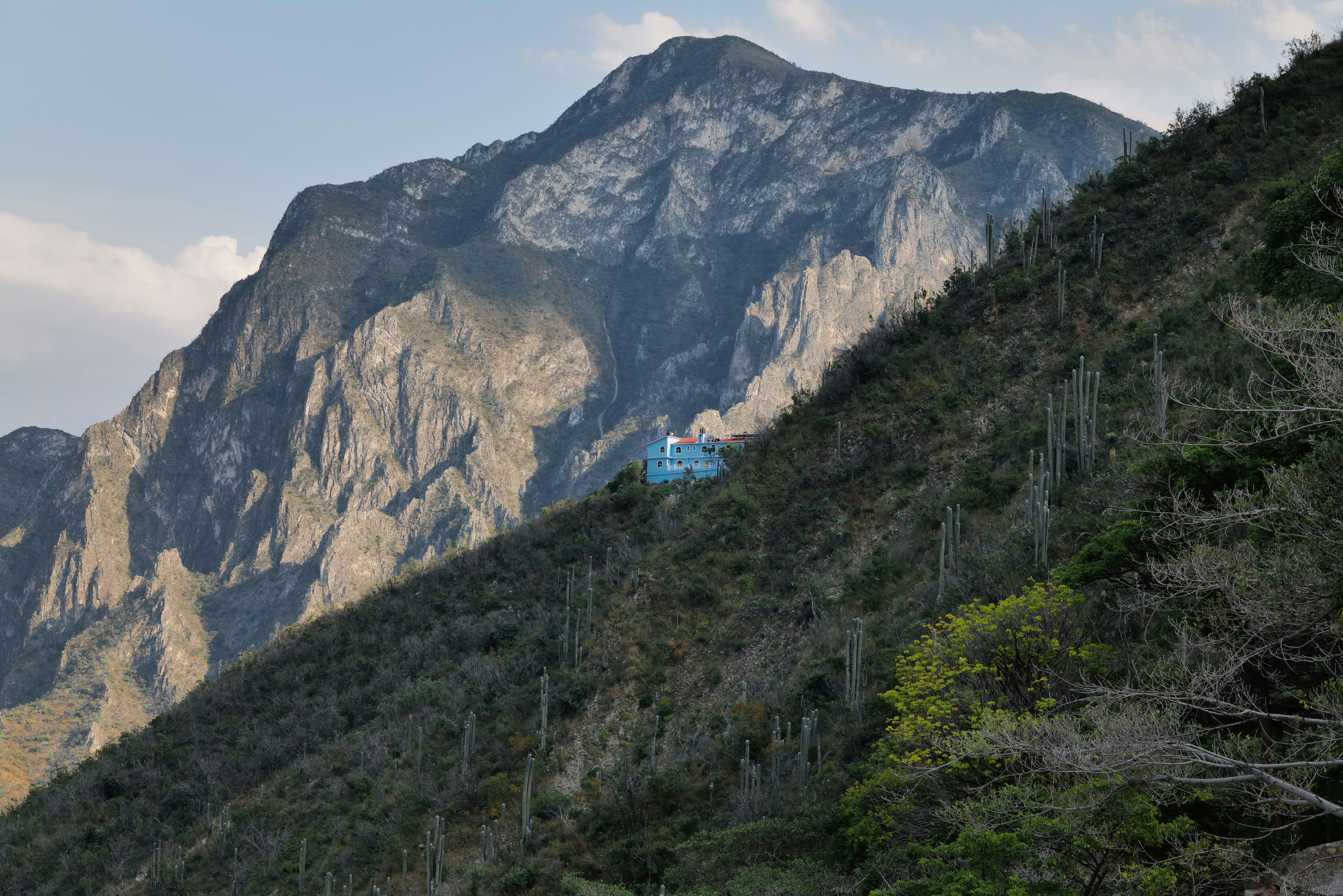Mountains and greenery.