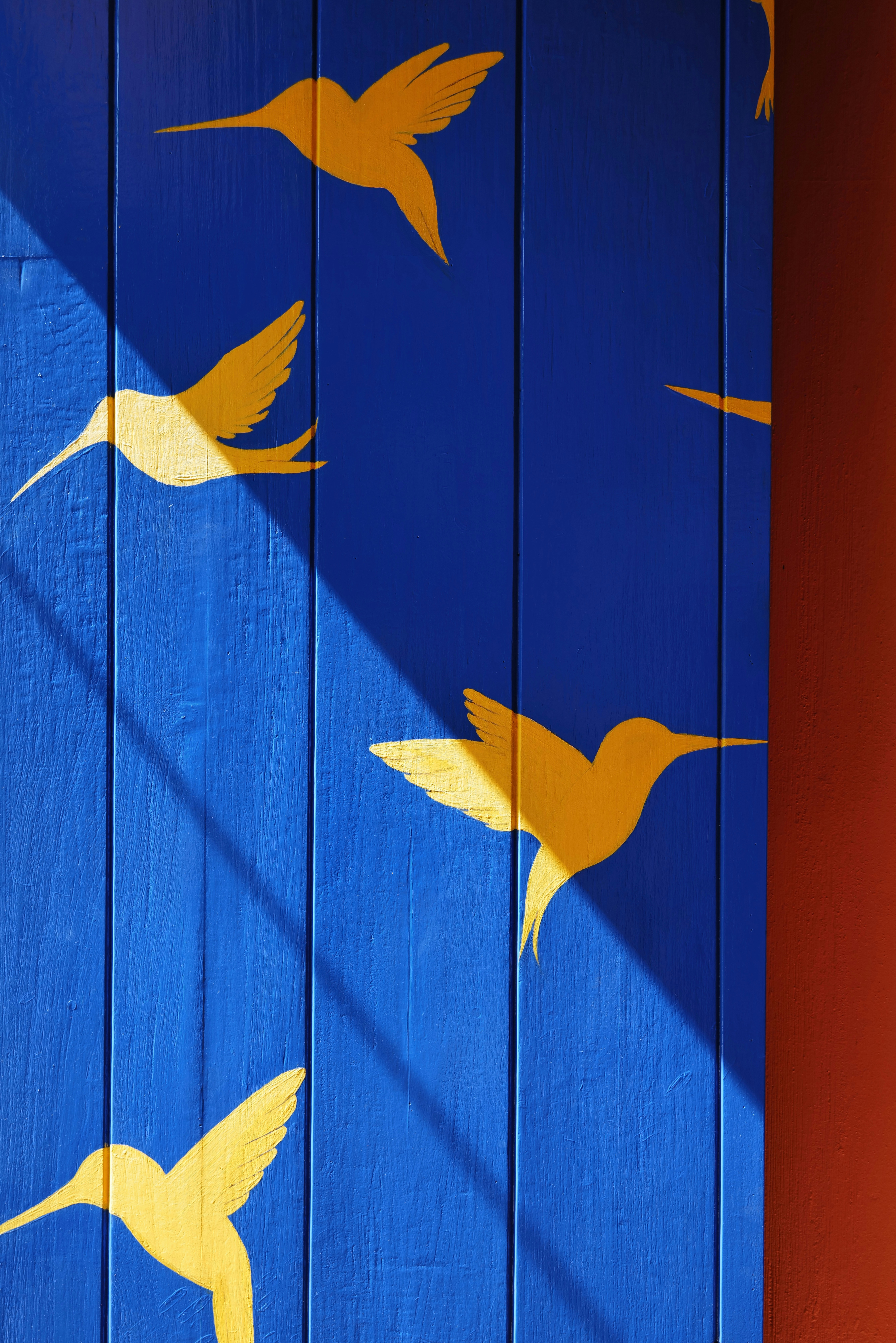 Hummingbird silhouettes on blue, sunlit wood.