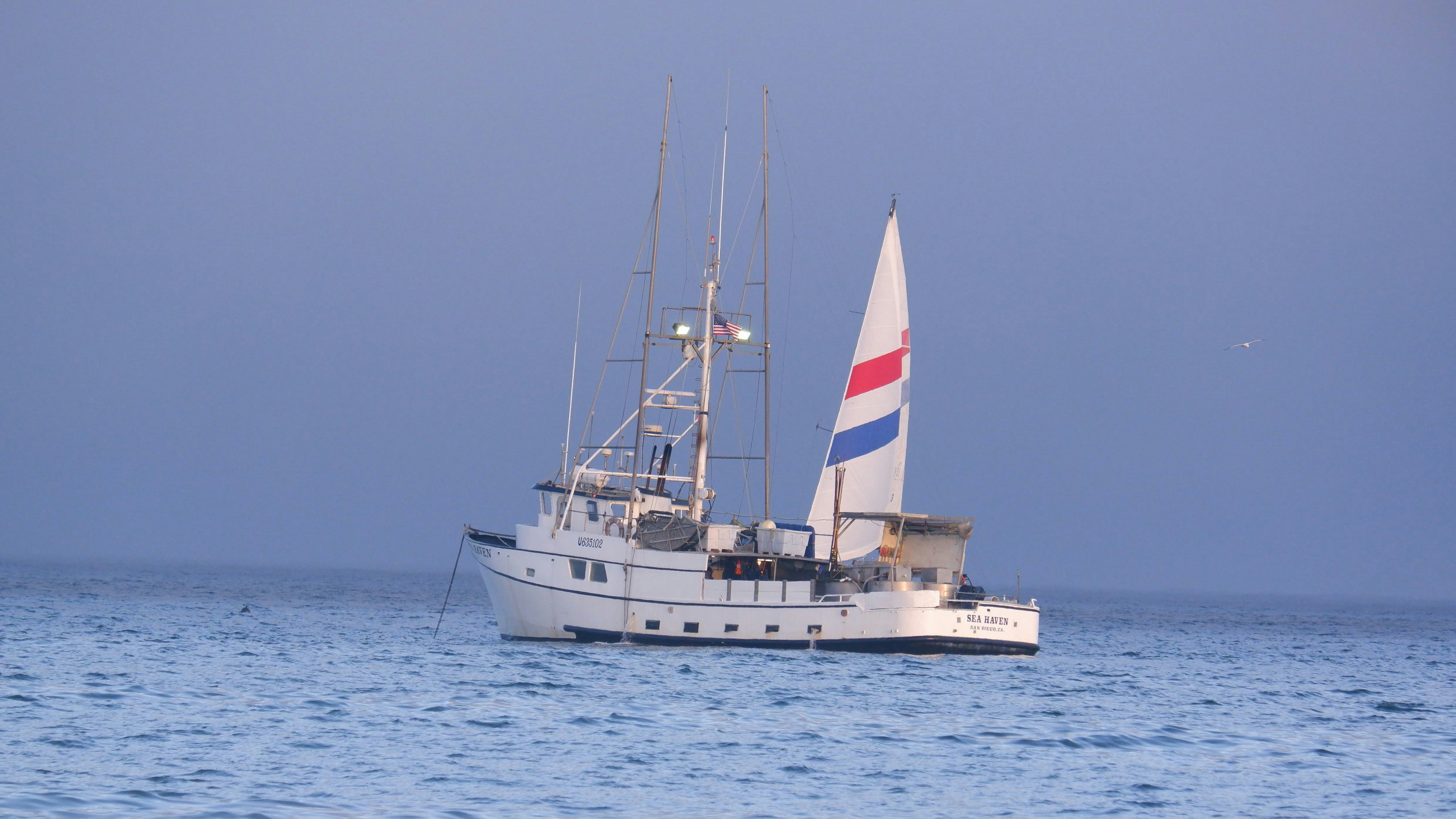 Sailing Serenity: A Vessel's Quiet Voyage