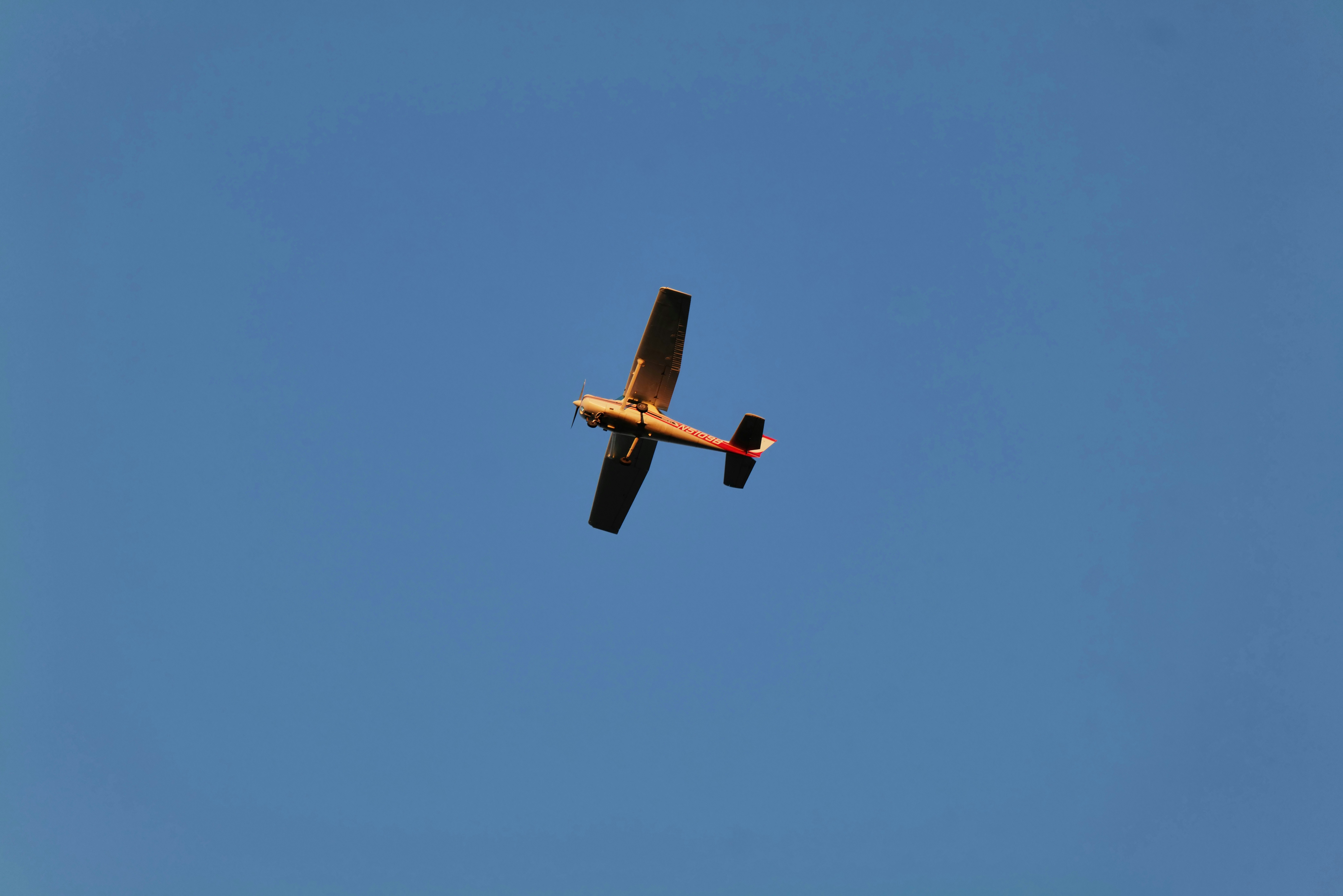 Single-engine aircraft gliding against a clear blue sky, showcasing its sleek design and vibrant colors.