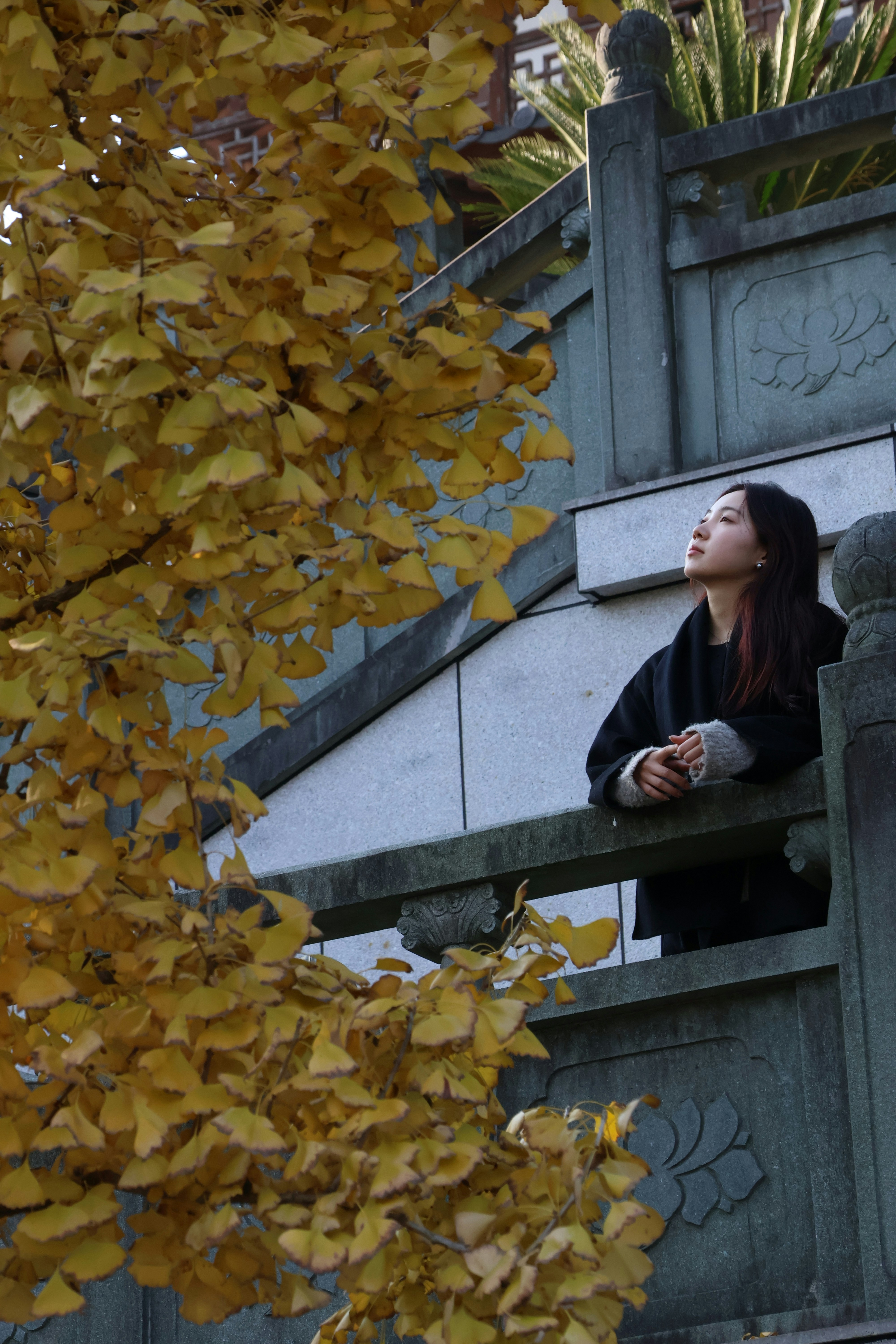 a girl gazes at the seasoned leaves. | A woman looks upward, framed by fall foliage.
