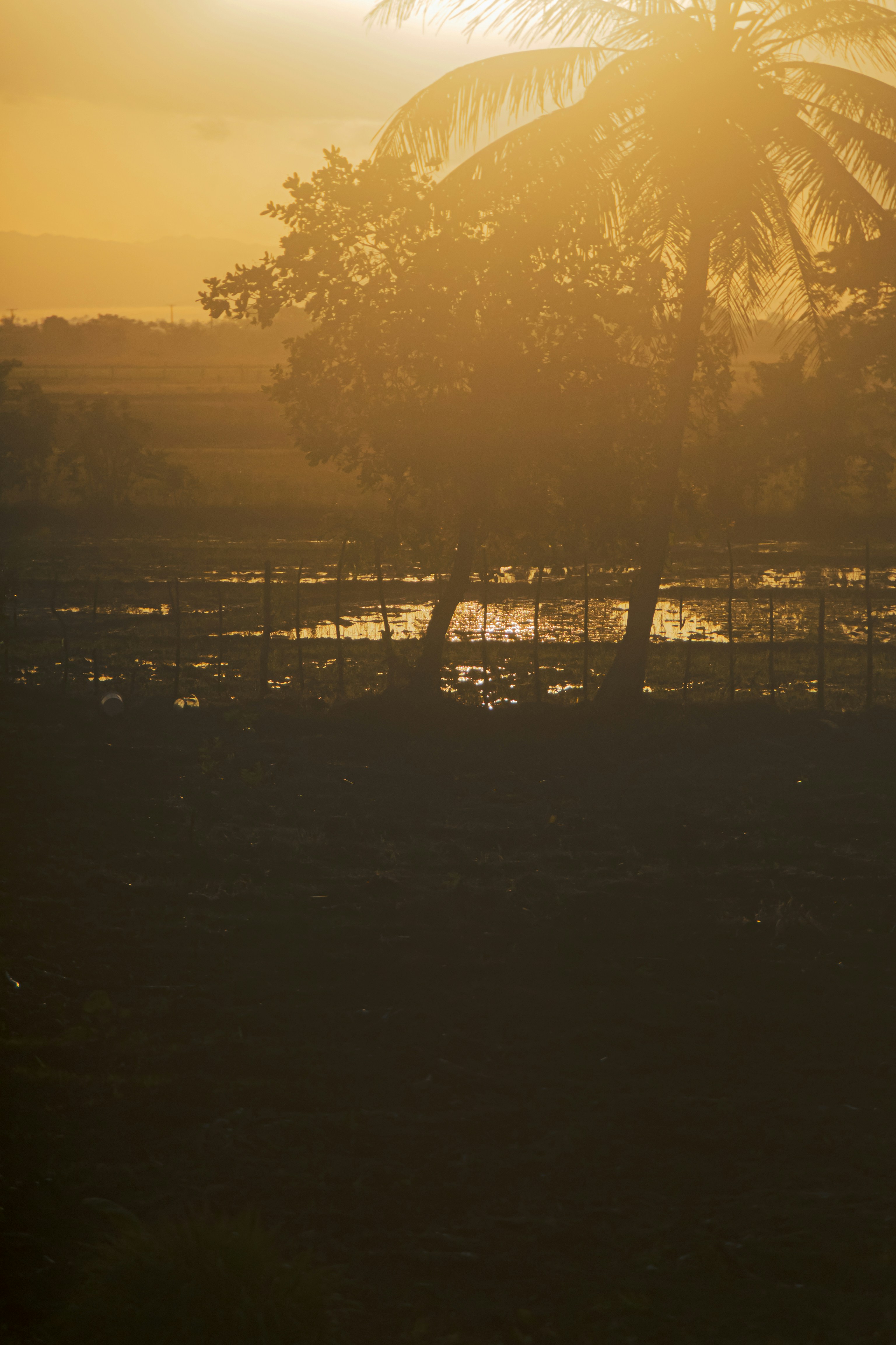 Agustín Pimentel (@agustin_pimentel) | Comunidade de fotos da Unsplash