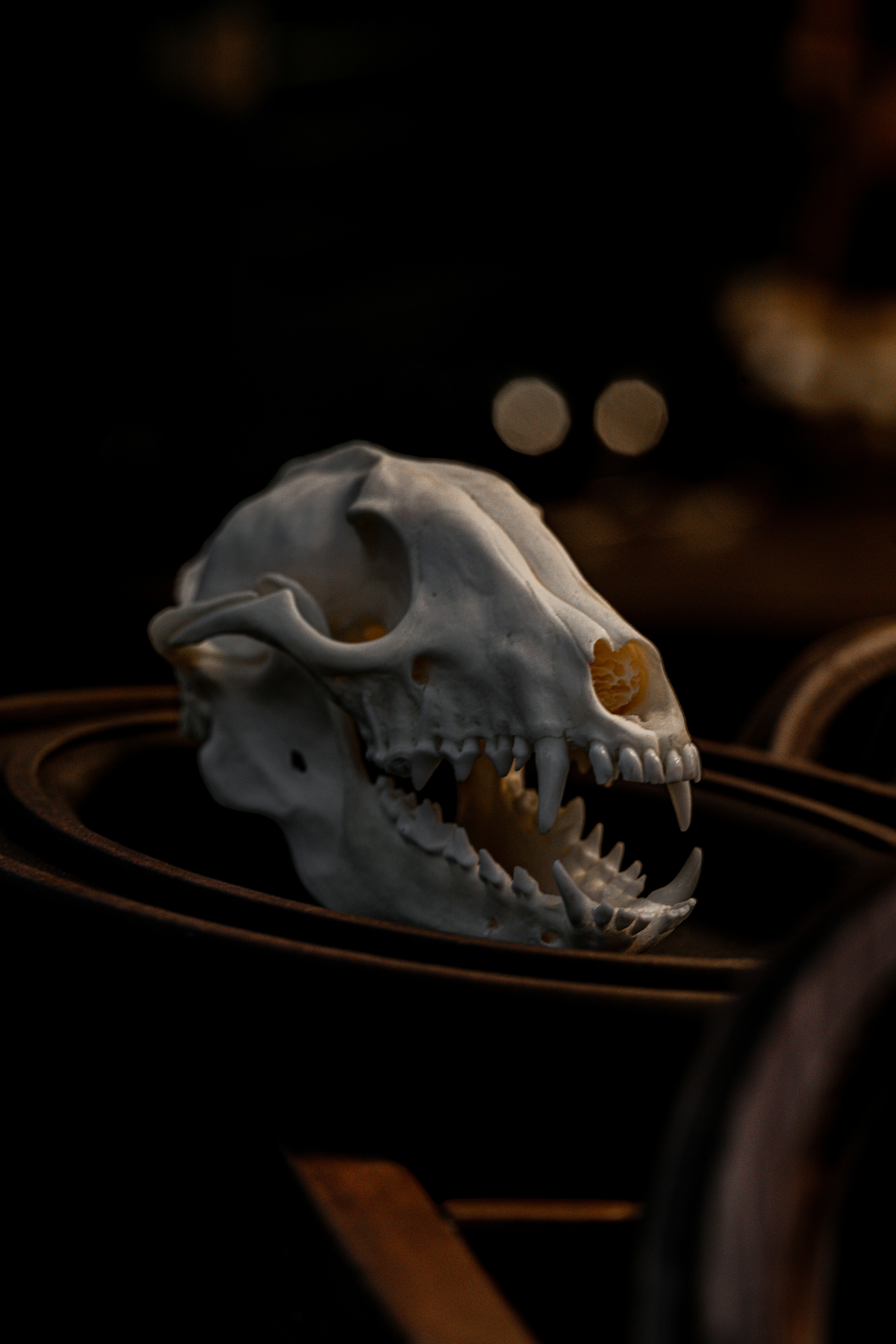 Photo by Anton Kotlovskii with Sony Alpha 7C R