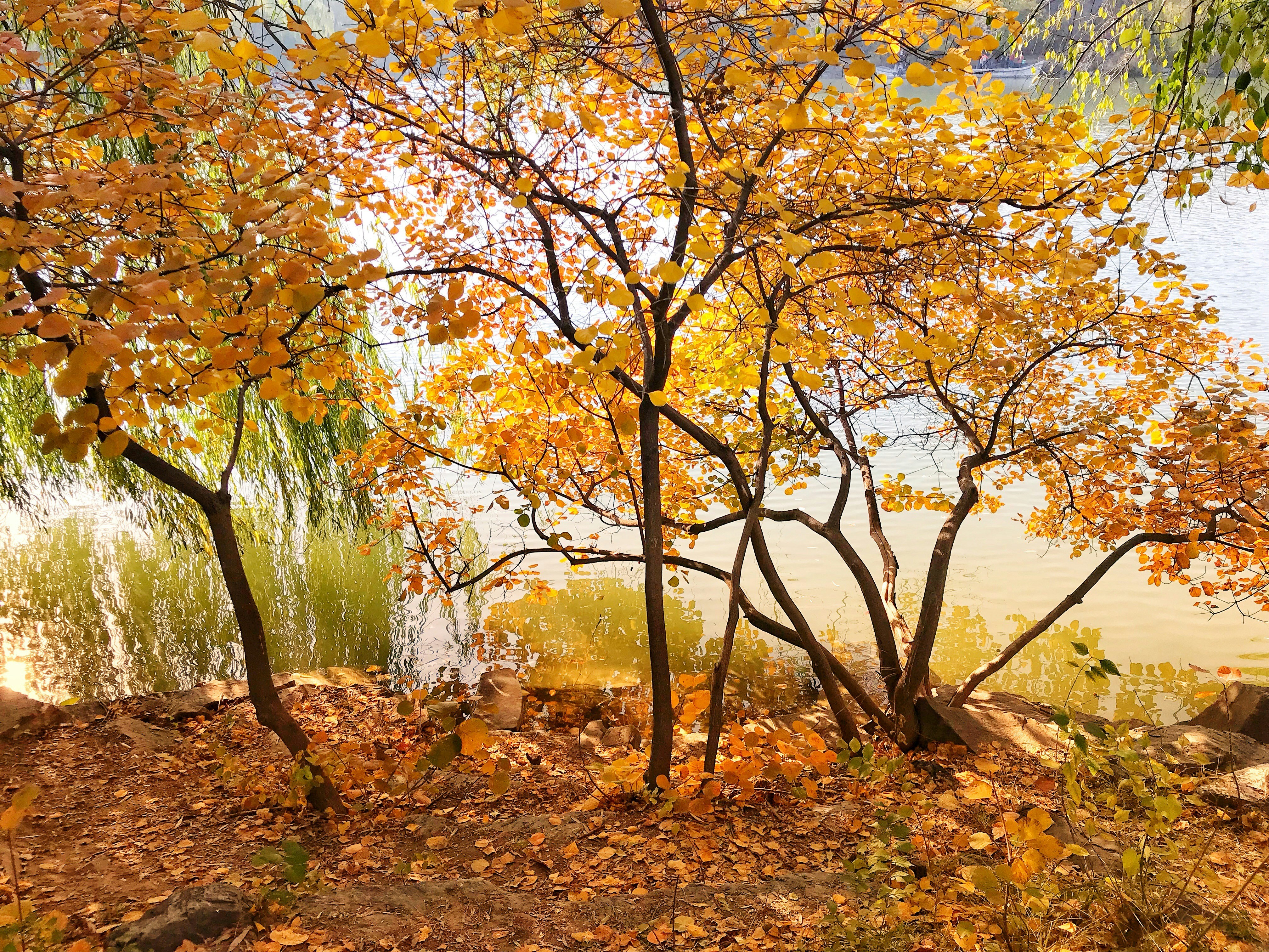 Will Sun (@willsun) | Unsplash 사진 커뮤니티