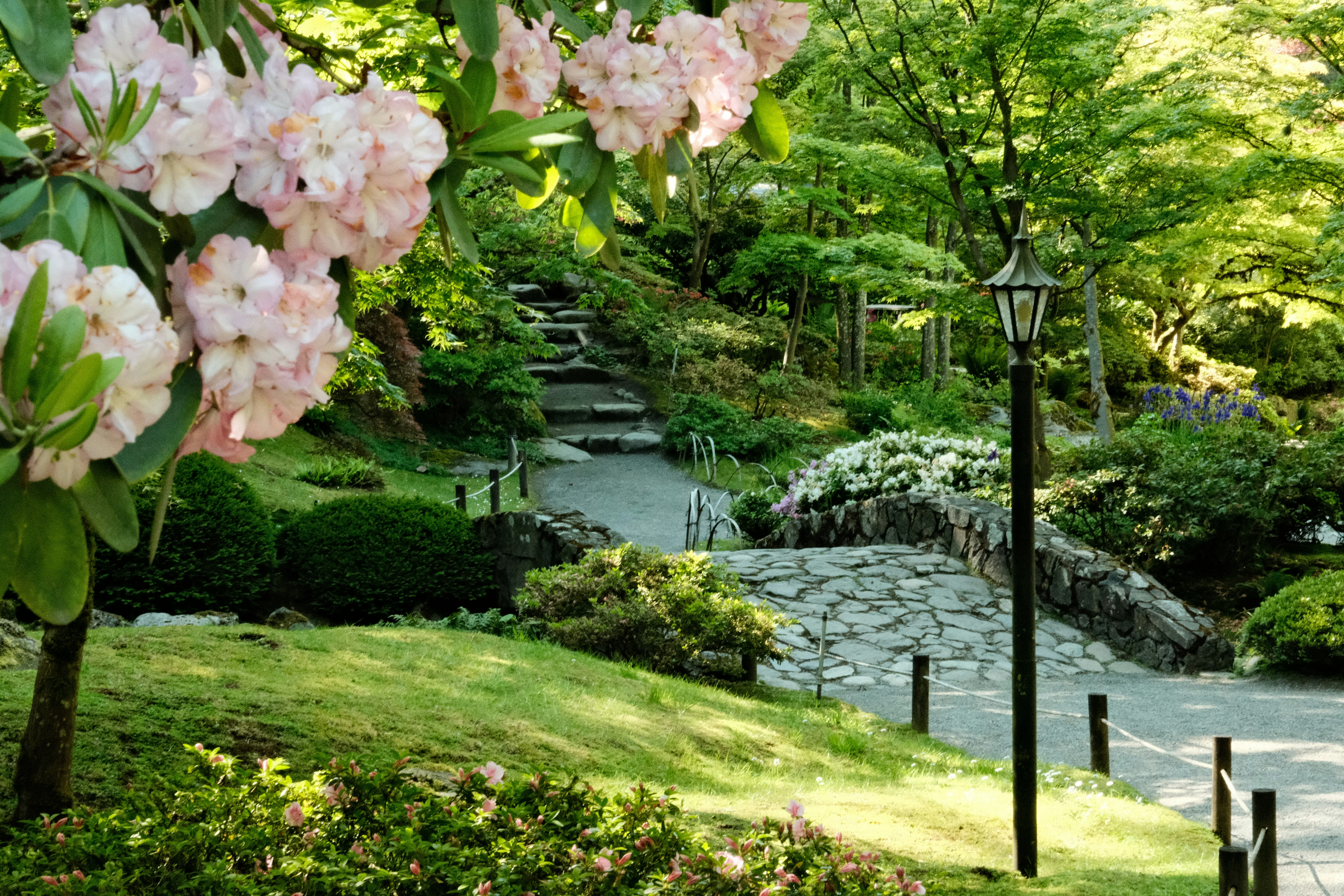 A beautiful garden with pathways and flowers. photo – Free Flower Image ...