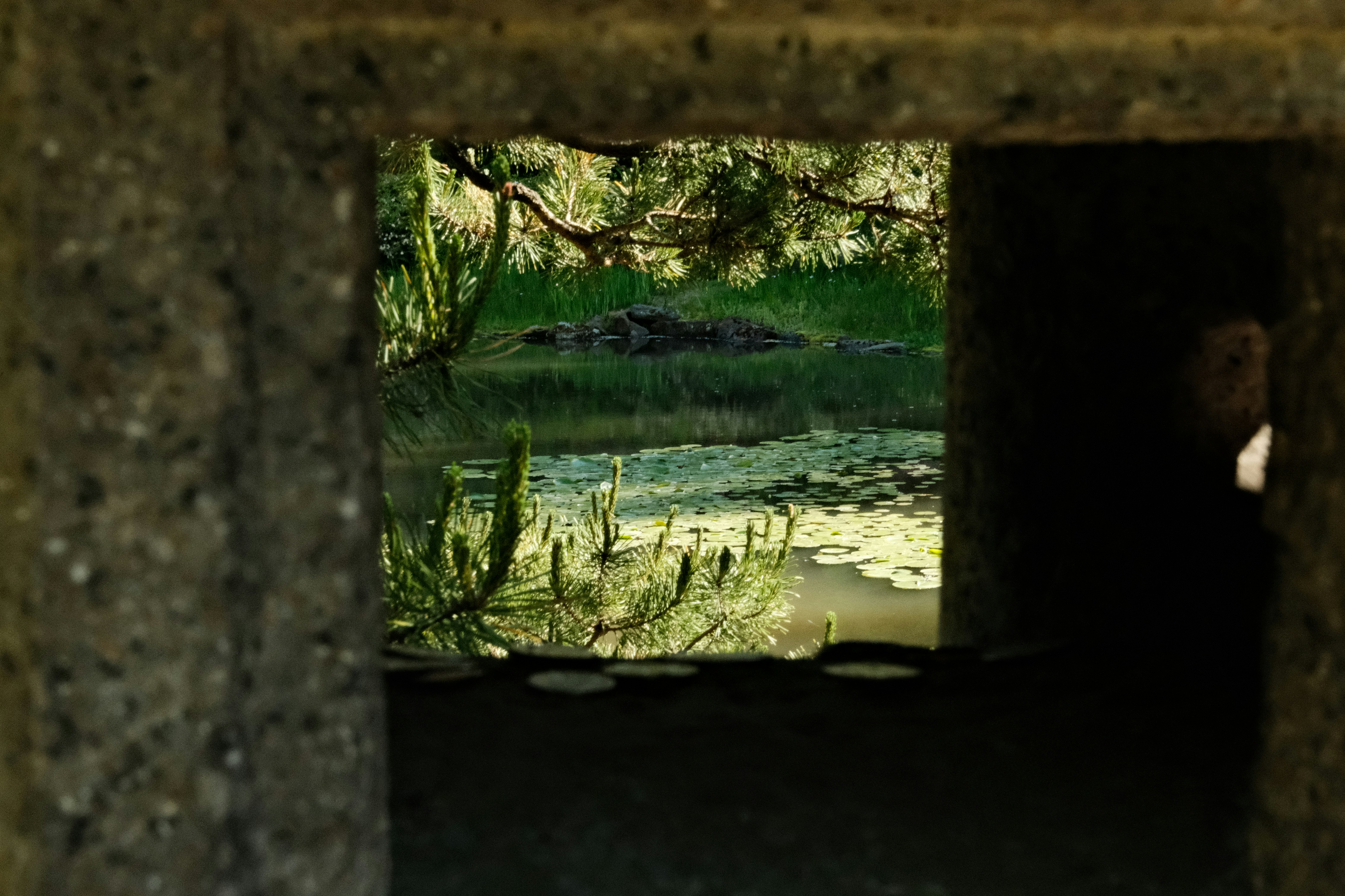 Photo by Kokia & Sawyer with Fujifilm X-T30 II