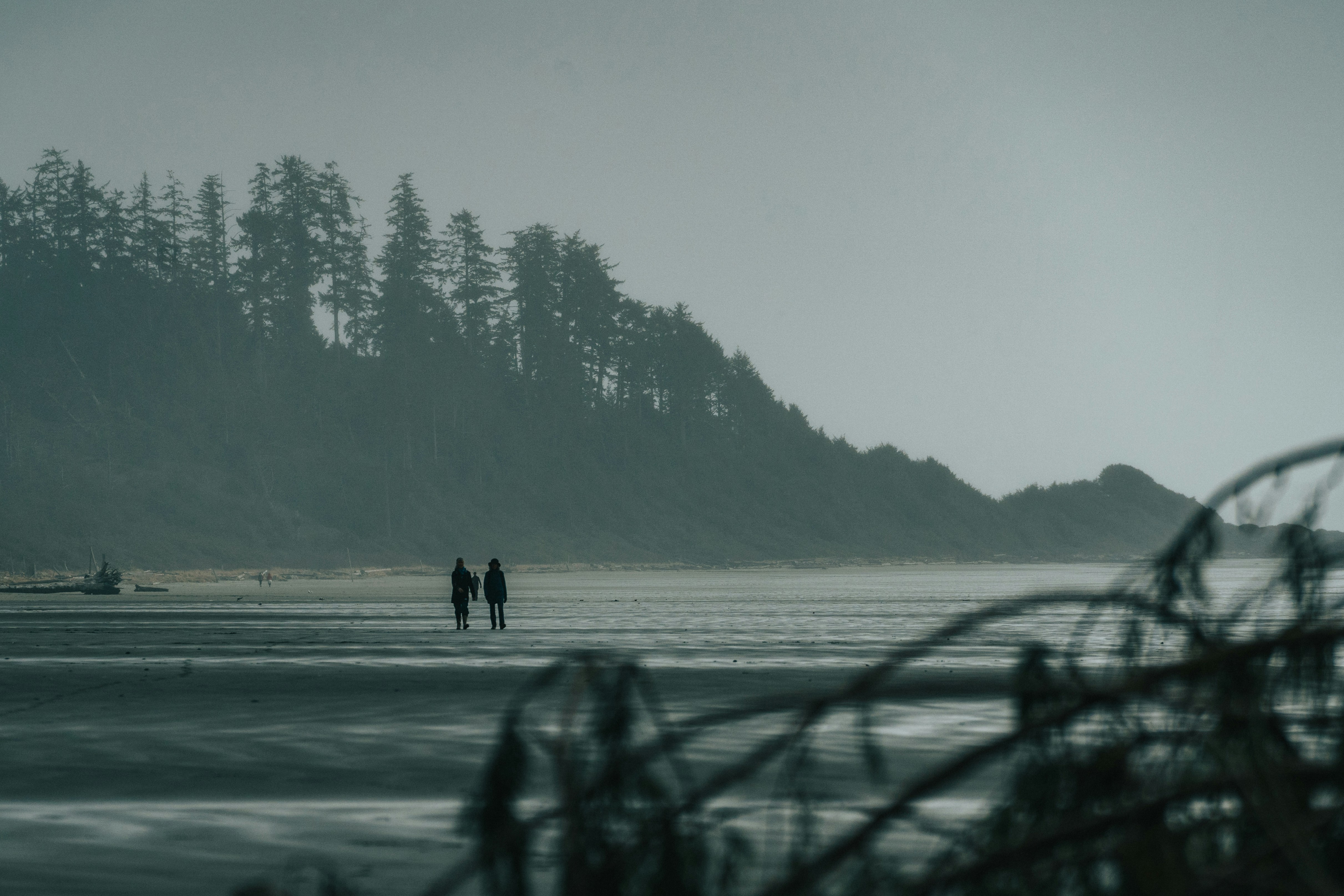 Two people walk along a beach.