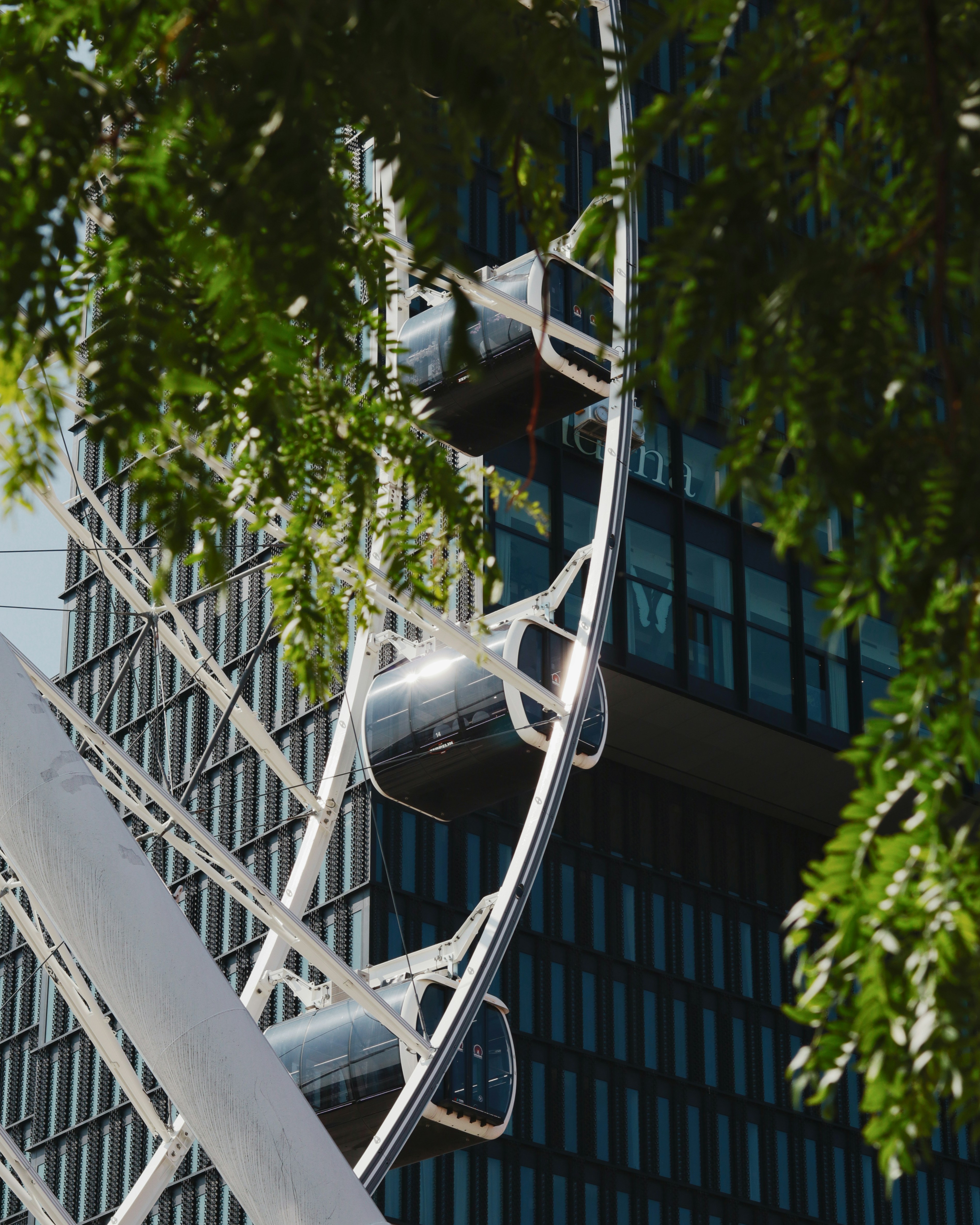 A contemporary Ferris wheel partially obscured by lush foliage, set against a backdrop of a sleek, modern building.
