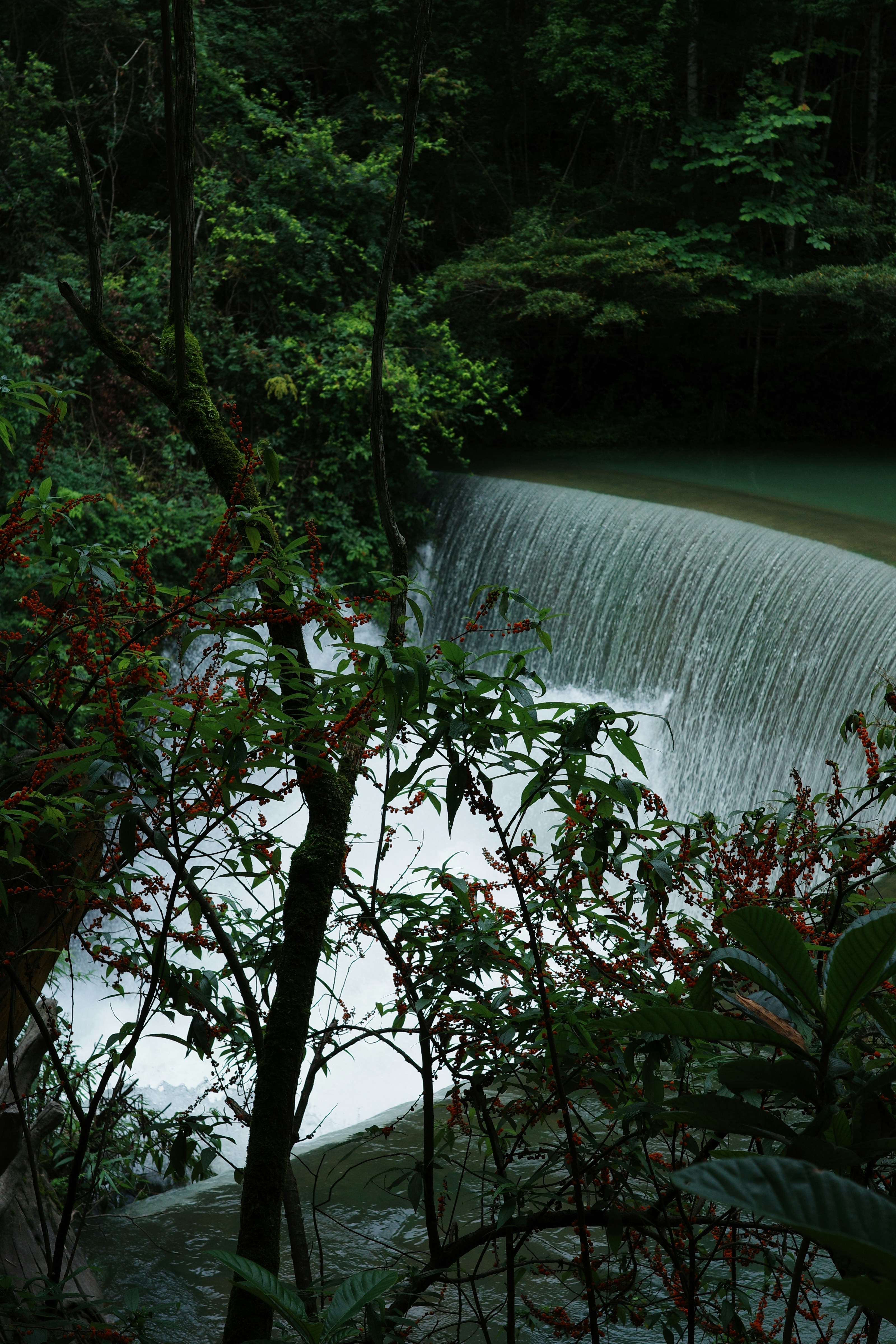 Whispers of the Cascading Waters