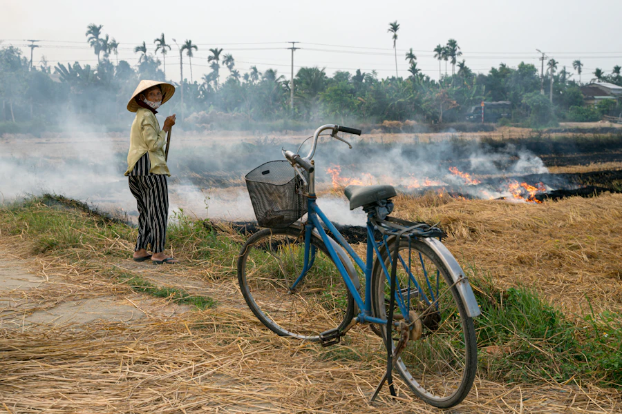 A farmer in a conical hat stands in a smoky field with low flames burning in the distance, while a blue bicycle rests in the foreground. Palm trees and power lines stretch across the hazy horizon.