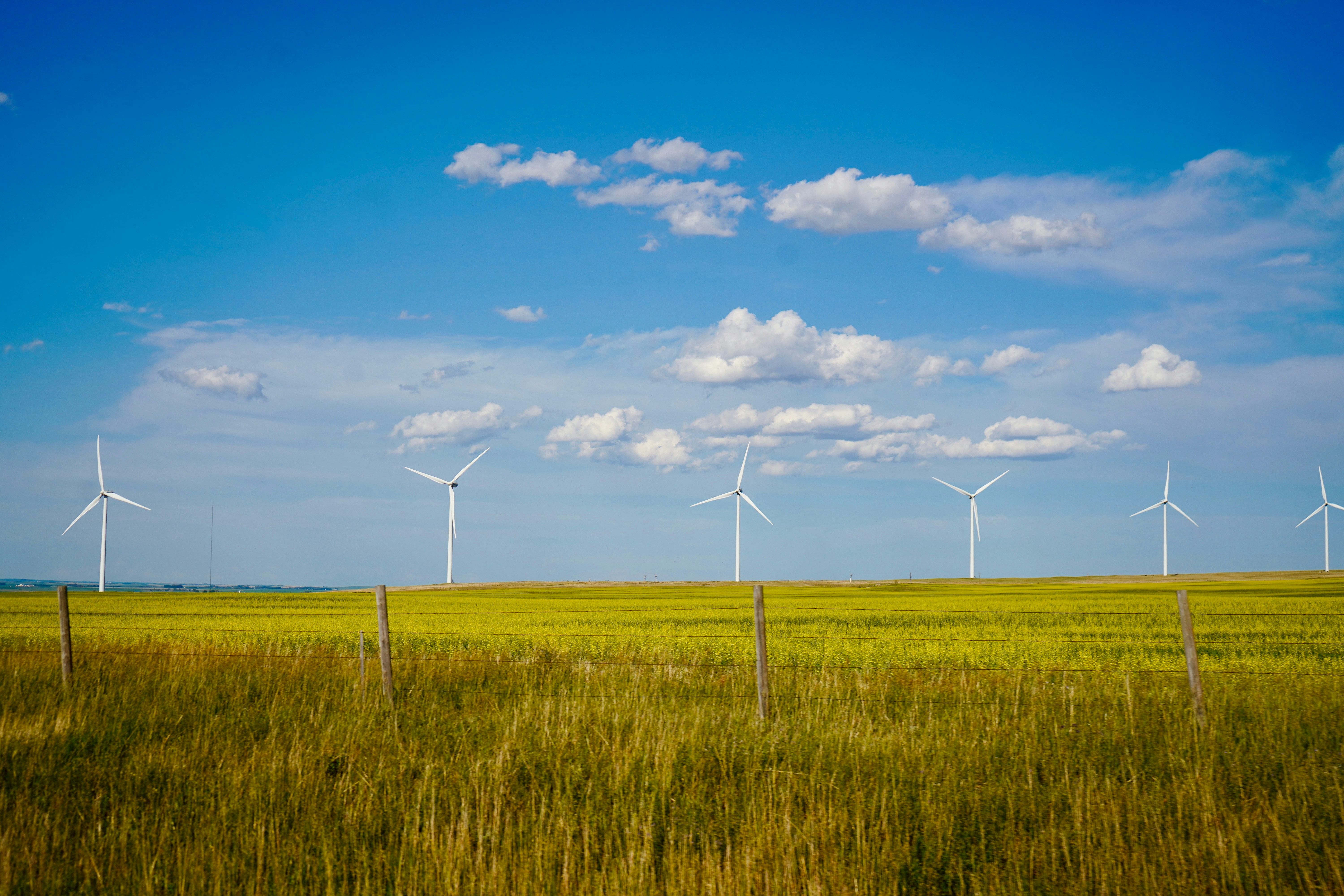 Whispers of the Wind: A Dance of Turbines