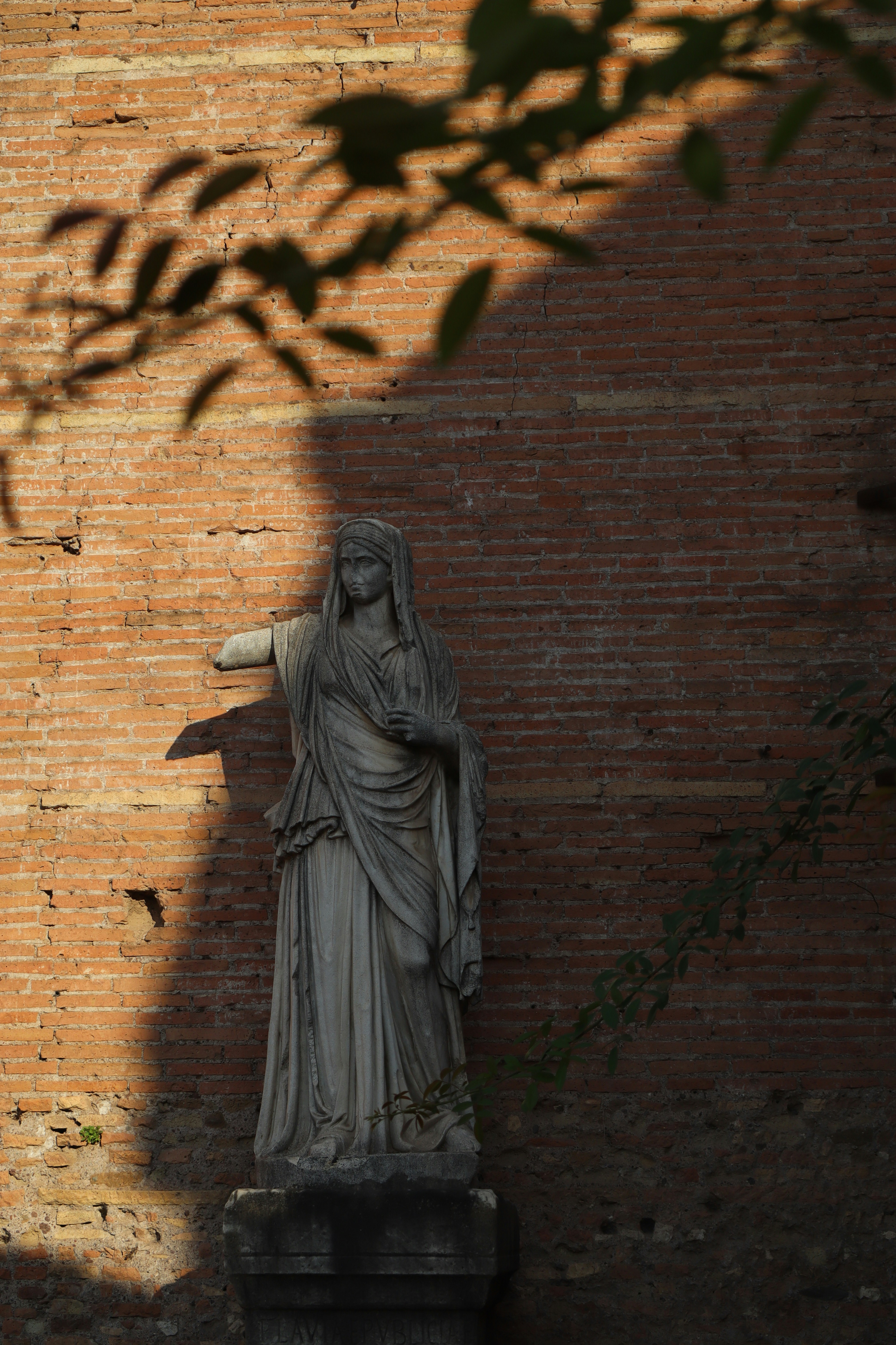 Whispers of the Past: A Statue in the Shadows