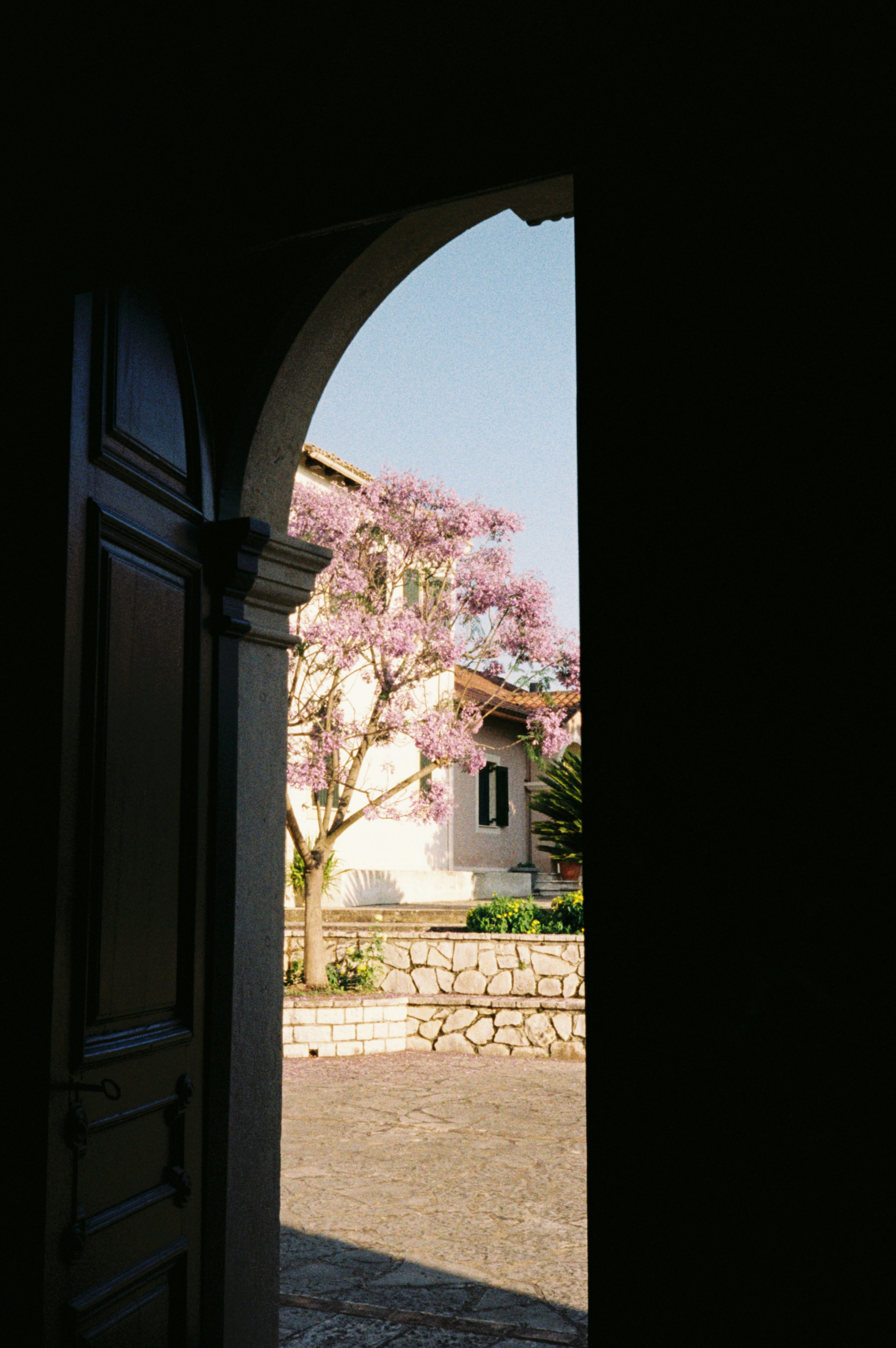 Photo by Marius Dumitrascu with Fujifilm SP500