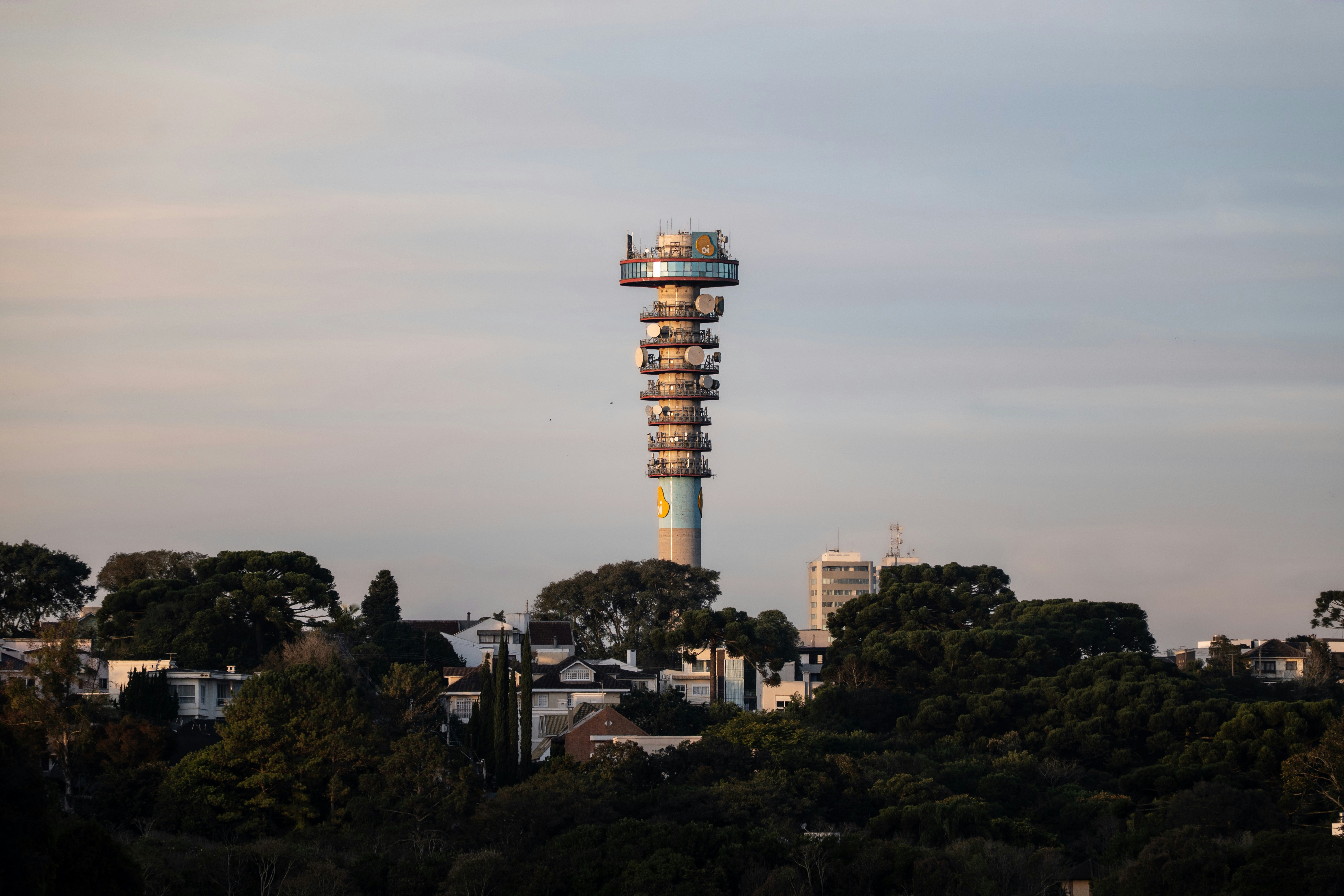 Sunset Signal: The slender tower rising above a tree-lined suburb