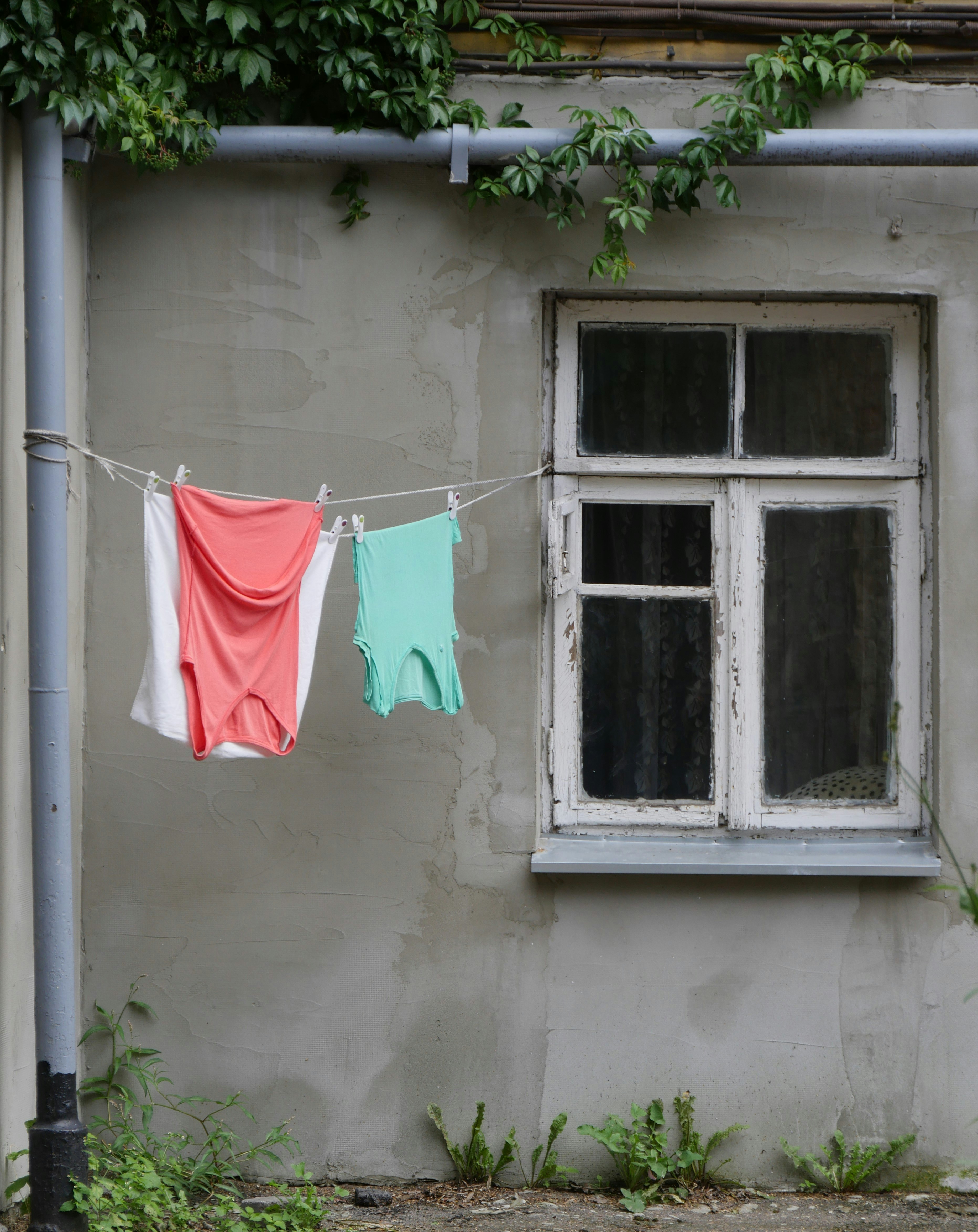 Whispers of Domestic Life