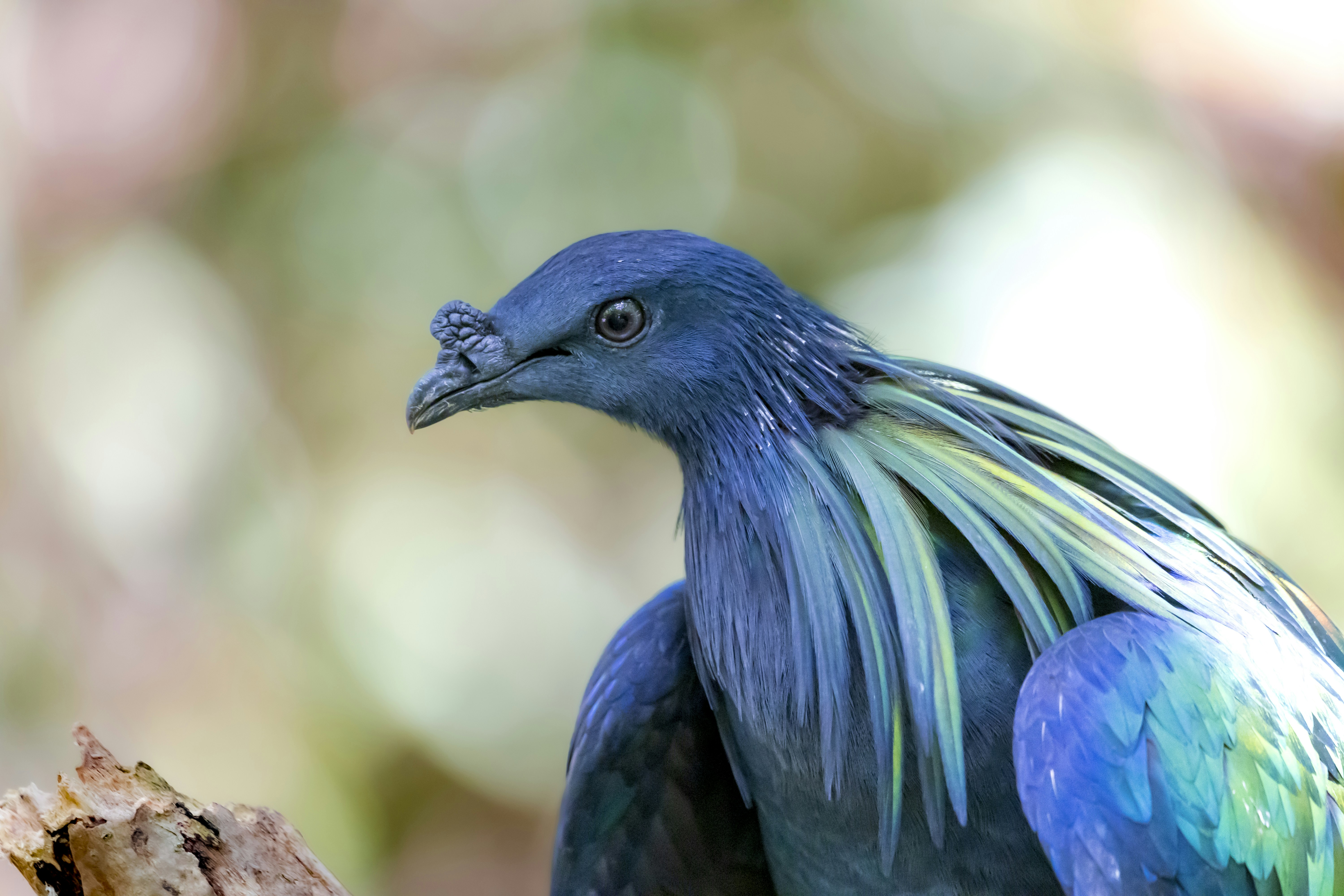 A Glimpse of Nature's Elegance