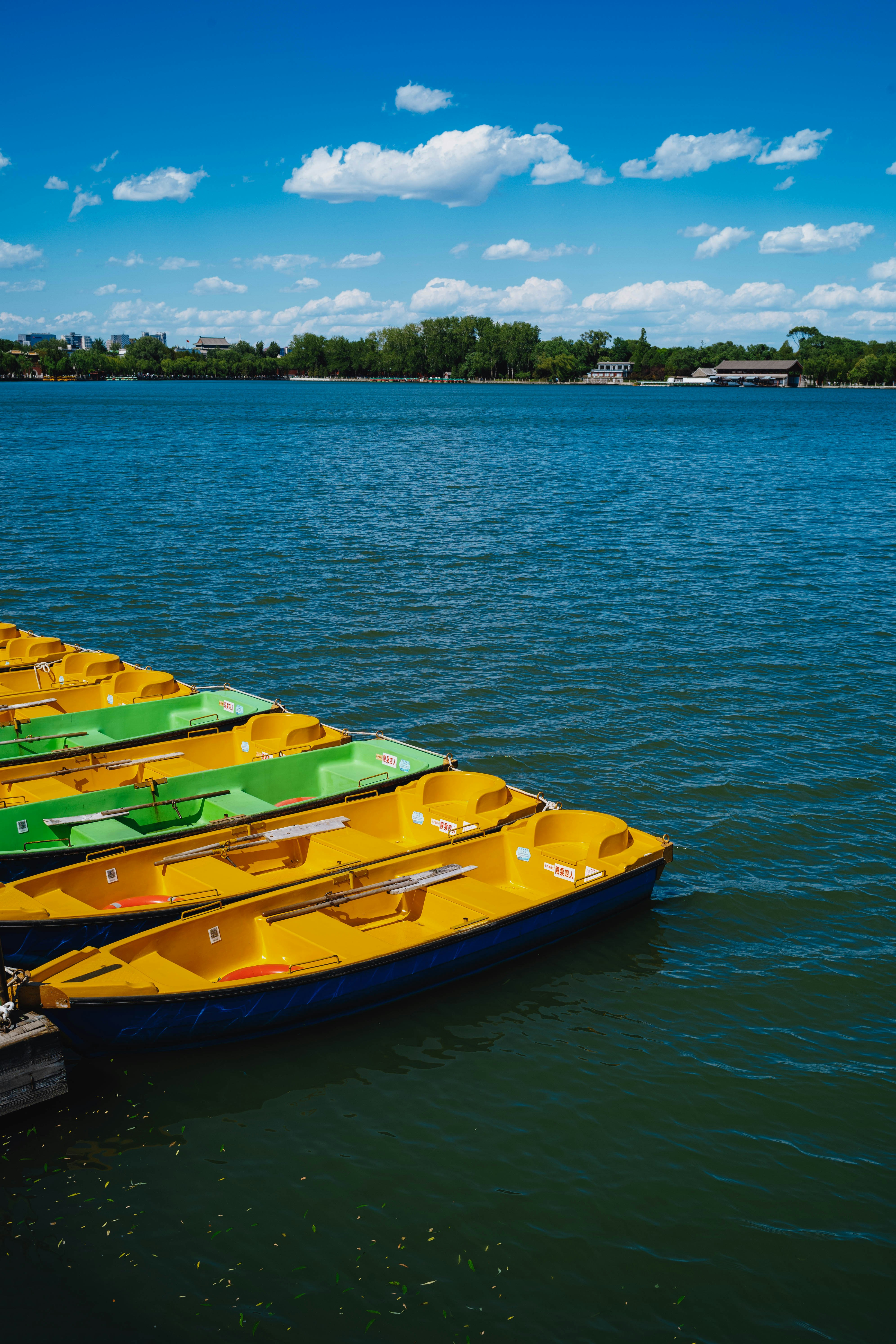 Vibrant Harmony of Color and Serenity
