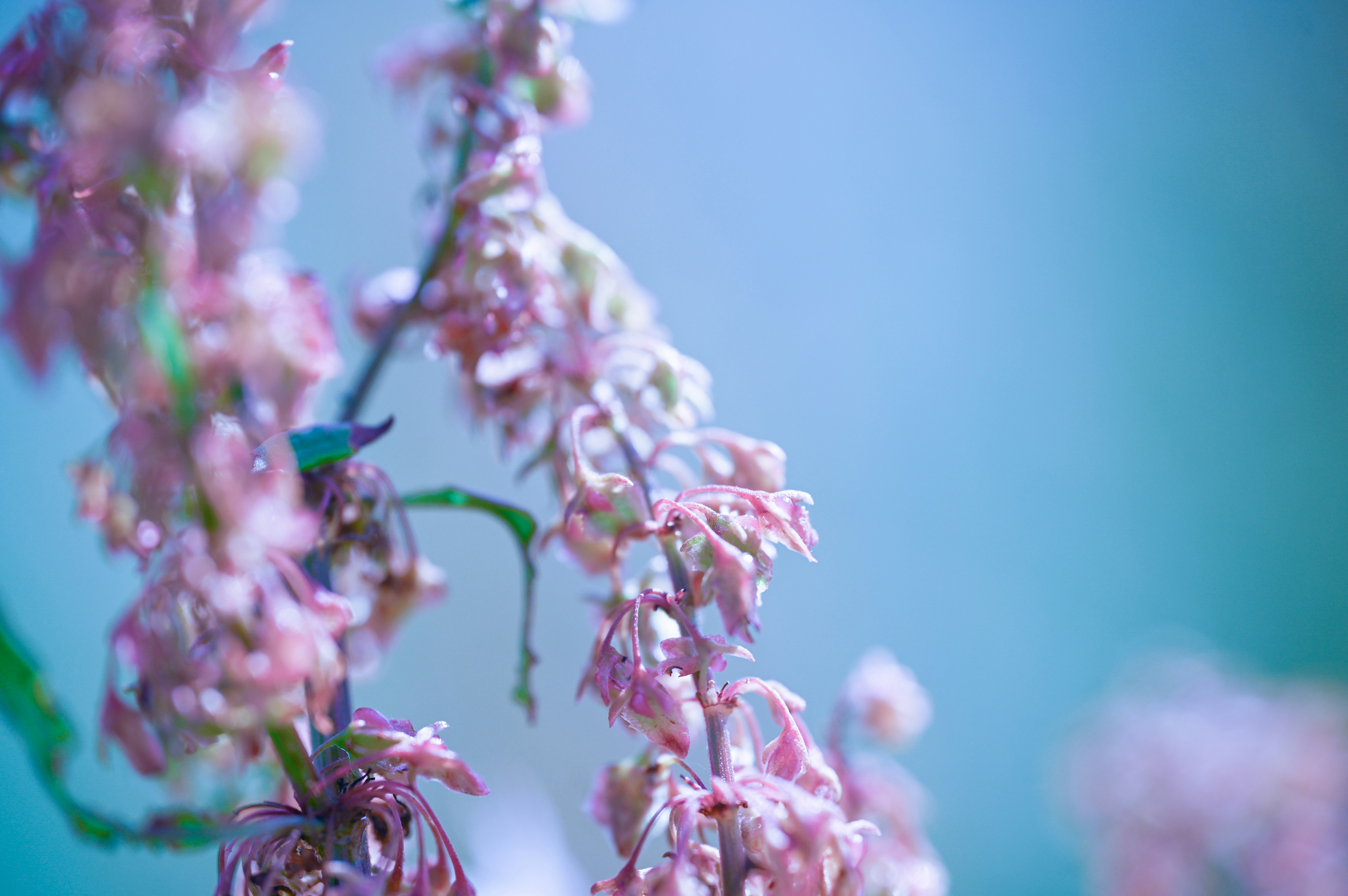 Light Mode Wallpaper Pictures | Download Free Images on Unsplash