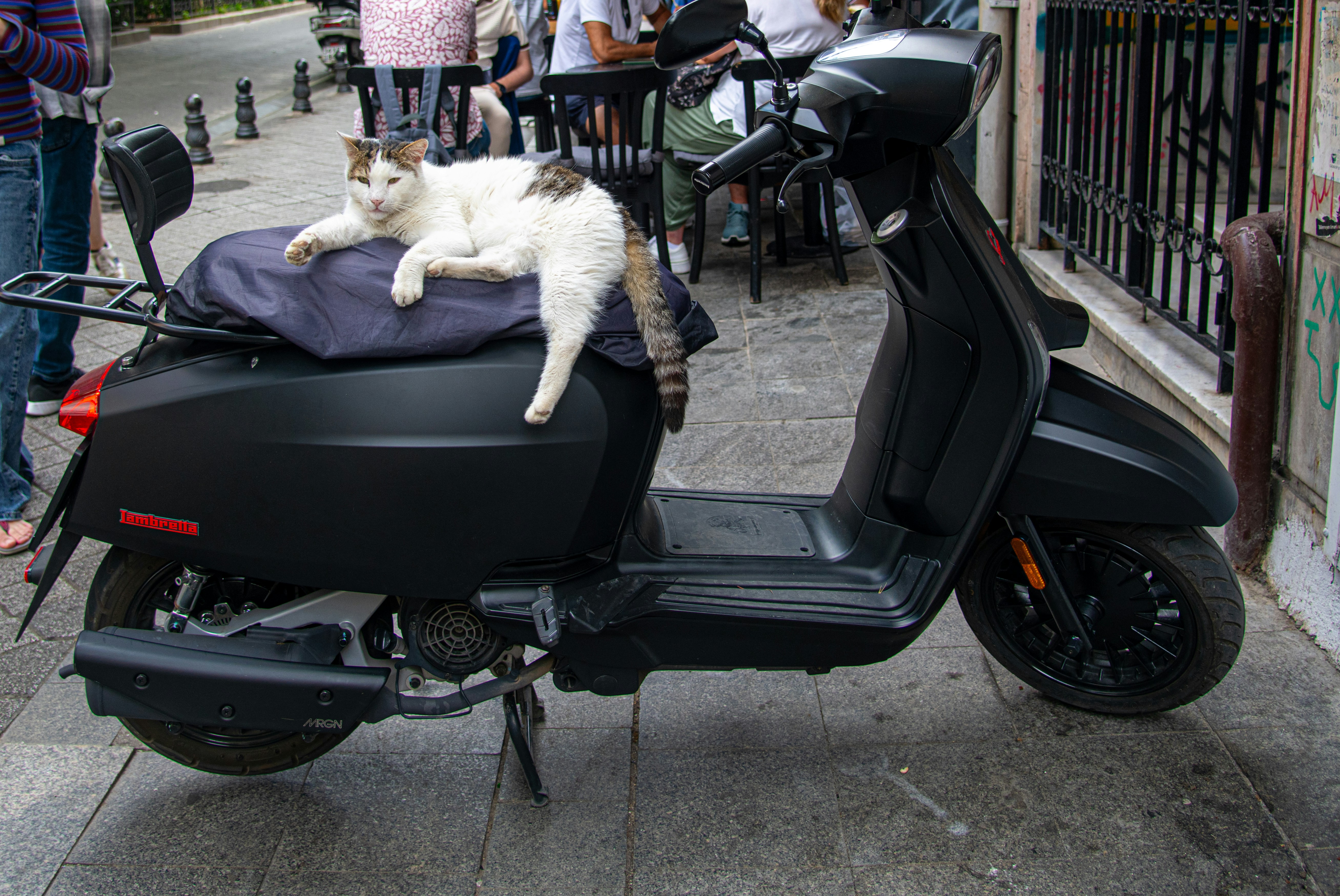 Photo by mana5280 with Nikon D850