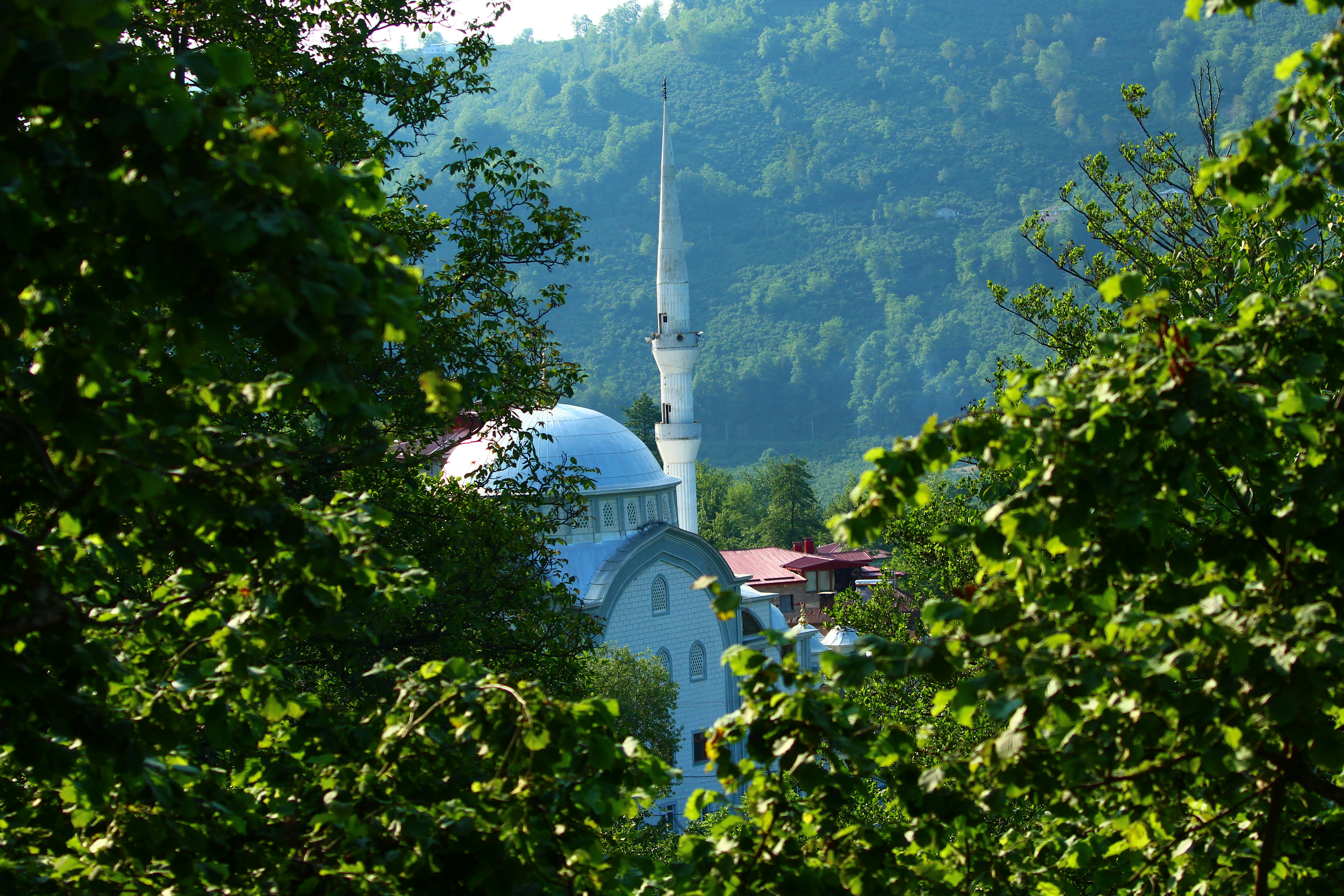 Through the Green Veil: A Mosque Minaret Emerges Beyond Forested Valleys
