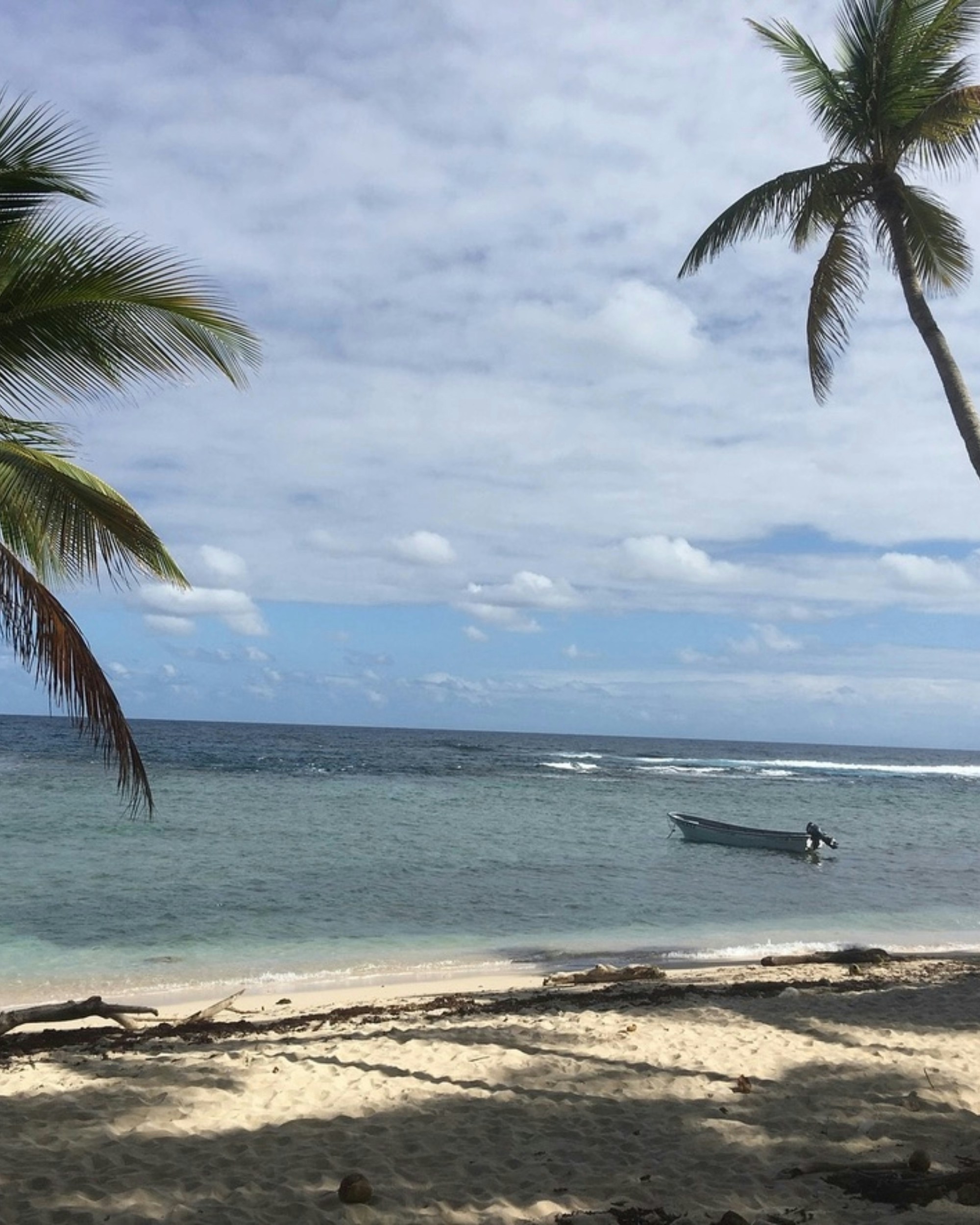 Mélanie Huynh (@animell) | Unsplash 사진 커뮤니티