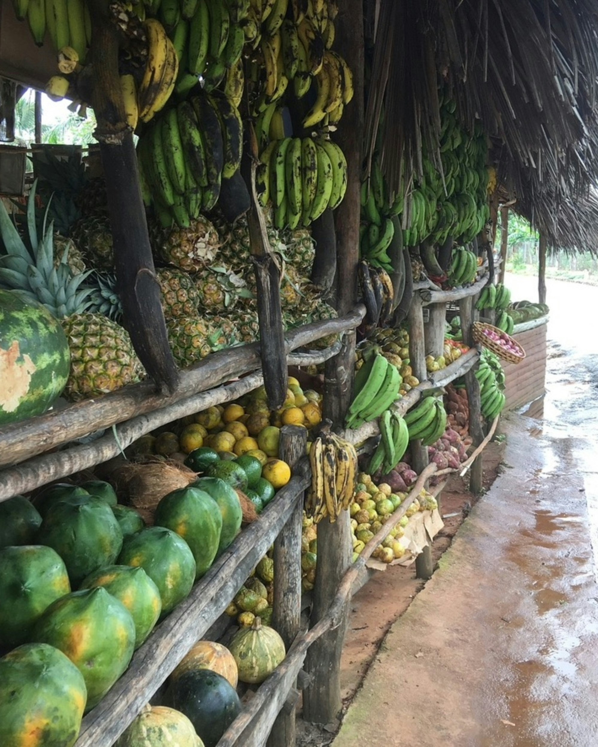 Mélanie Huynh (@animell) | Unsplash 사진 커뮤니티