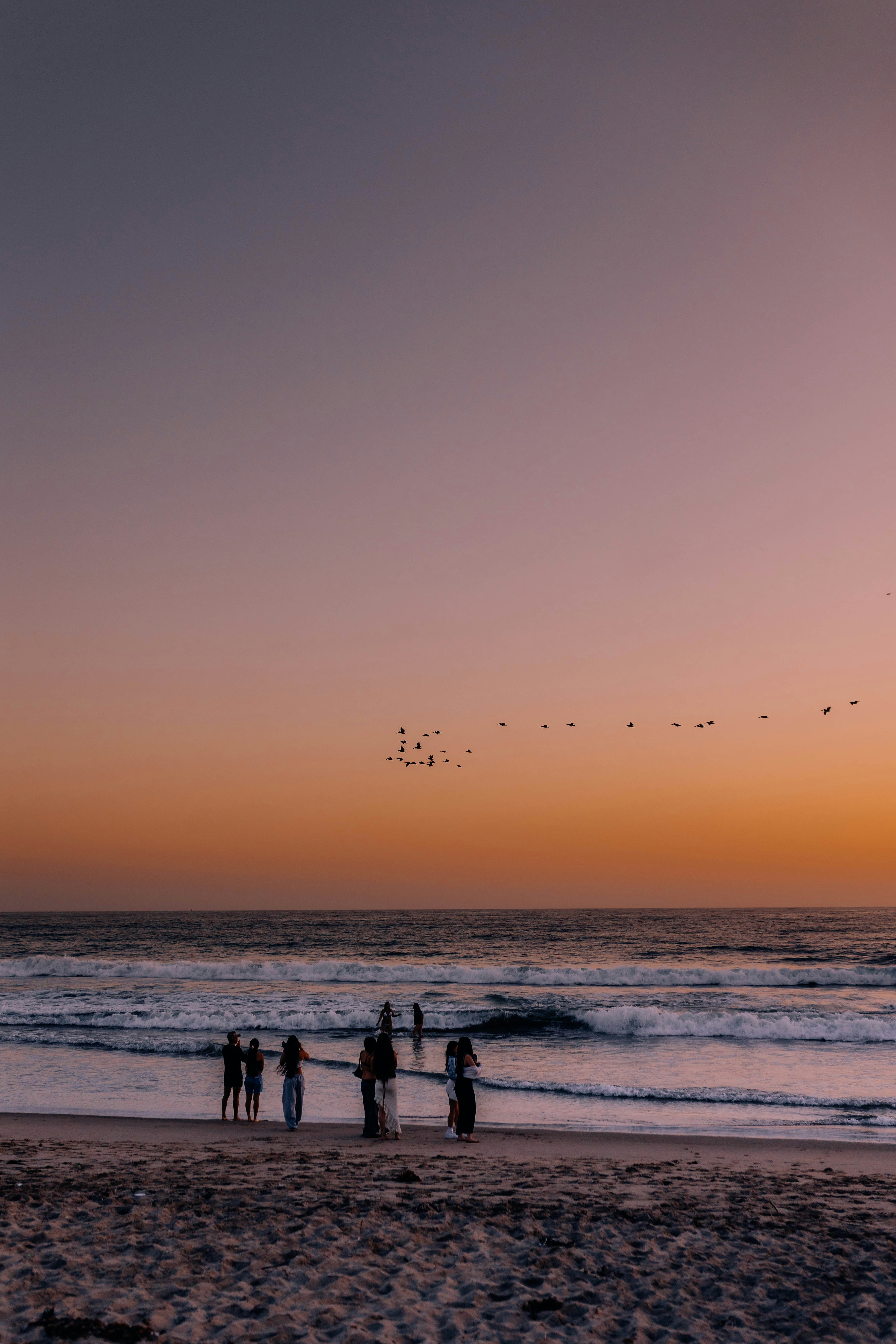 Twilight Reverie by the Shore