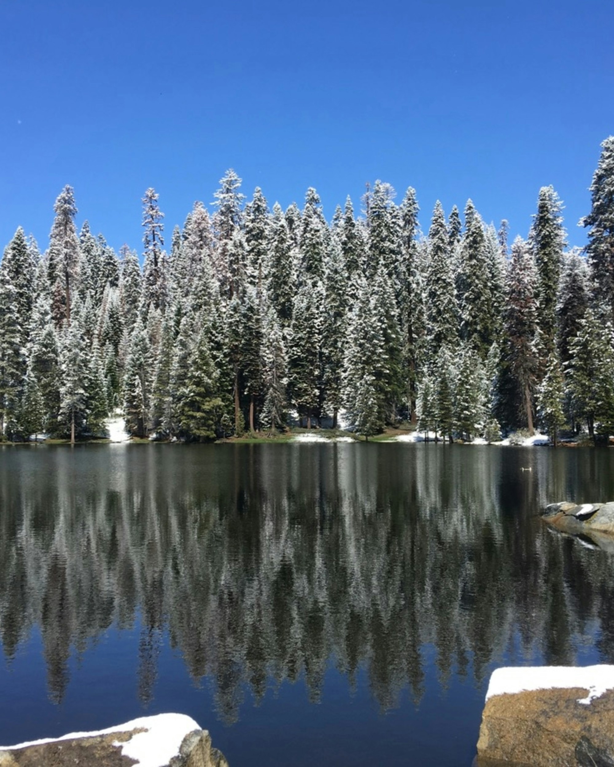 Mélanie Huynh (@animell) | Comunidade de fotos da Unsplash