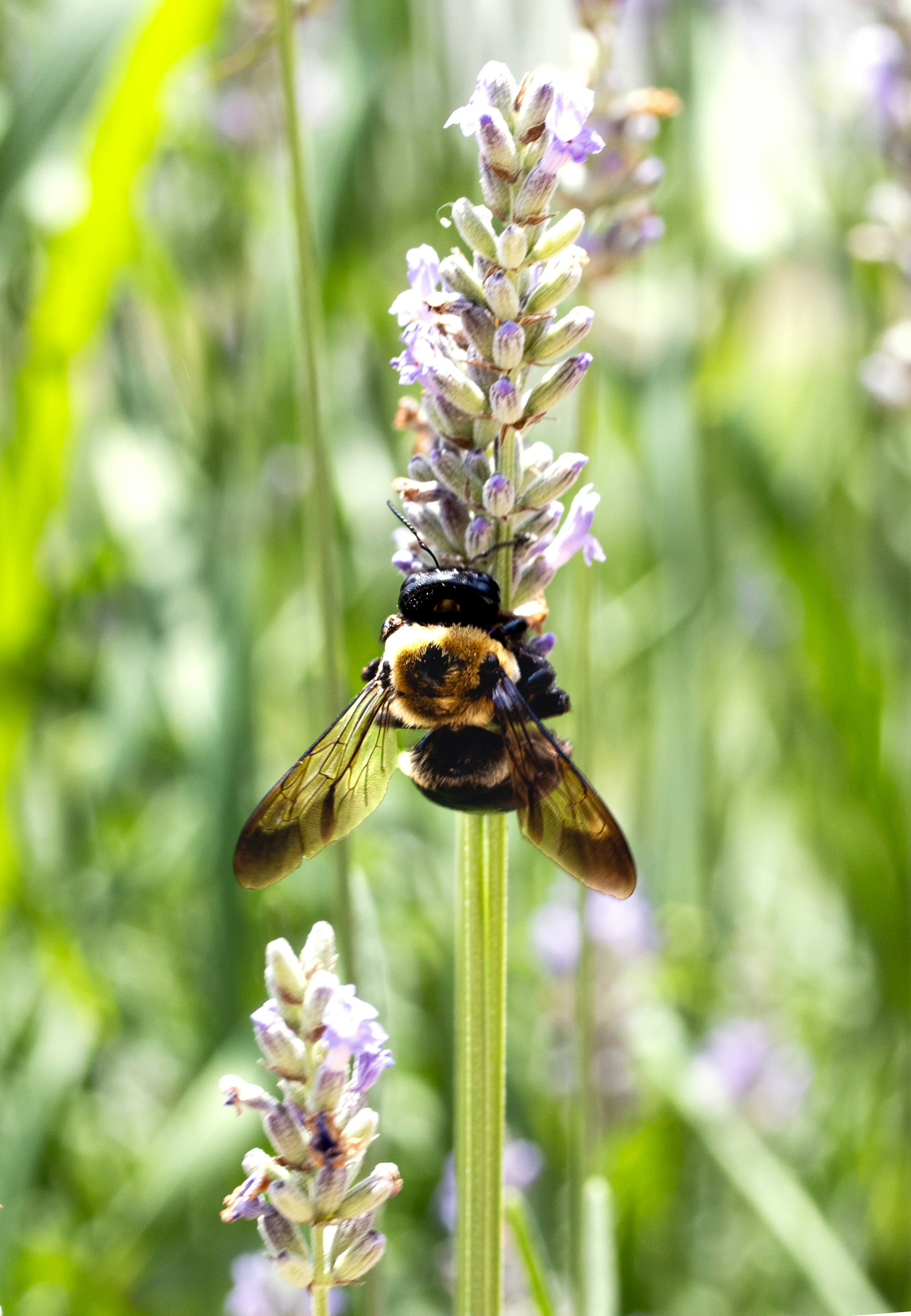 Courtney Cantu (@courtneycantu) | Unsplashフォトコミュニティ
