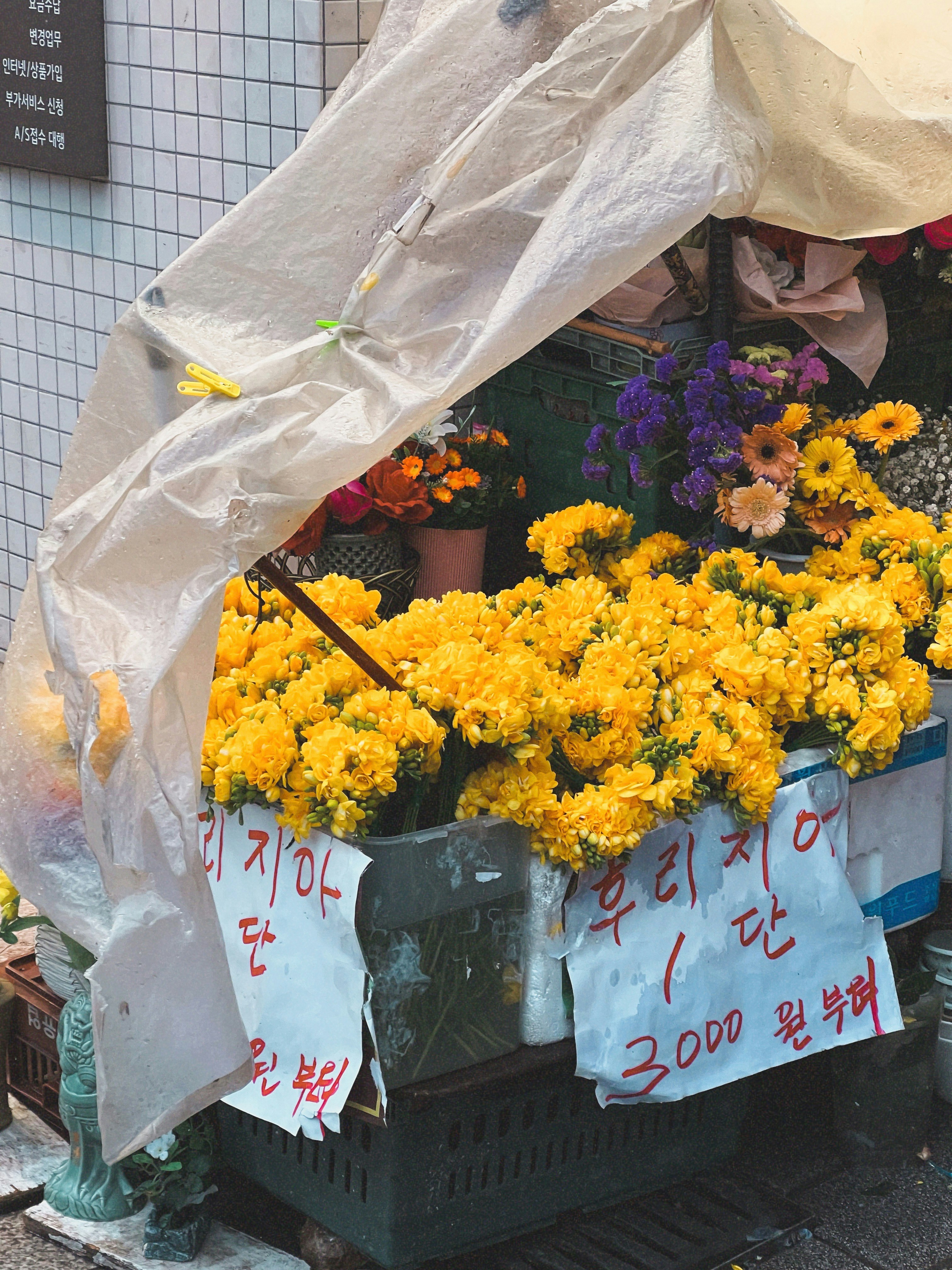 A flower stand displays vibrant yellow blooms. photo – Free Flower ...
