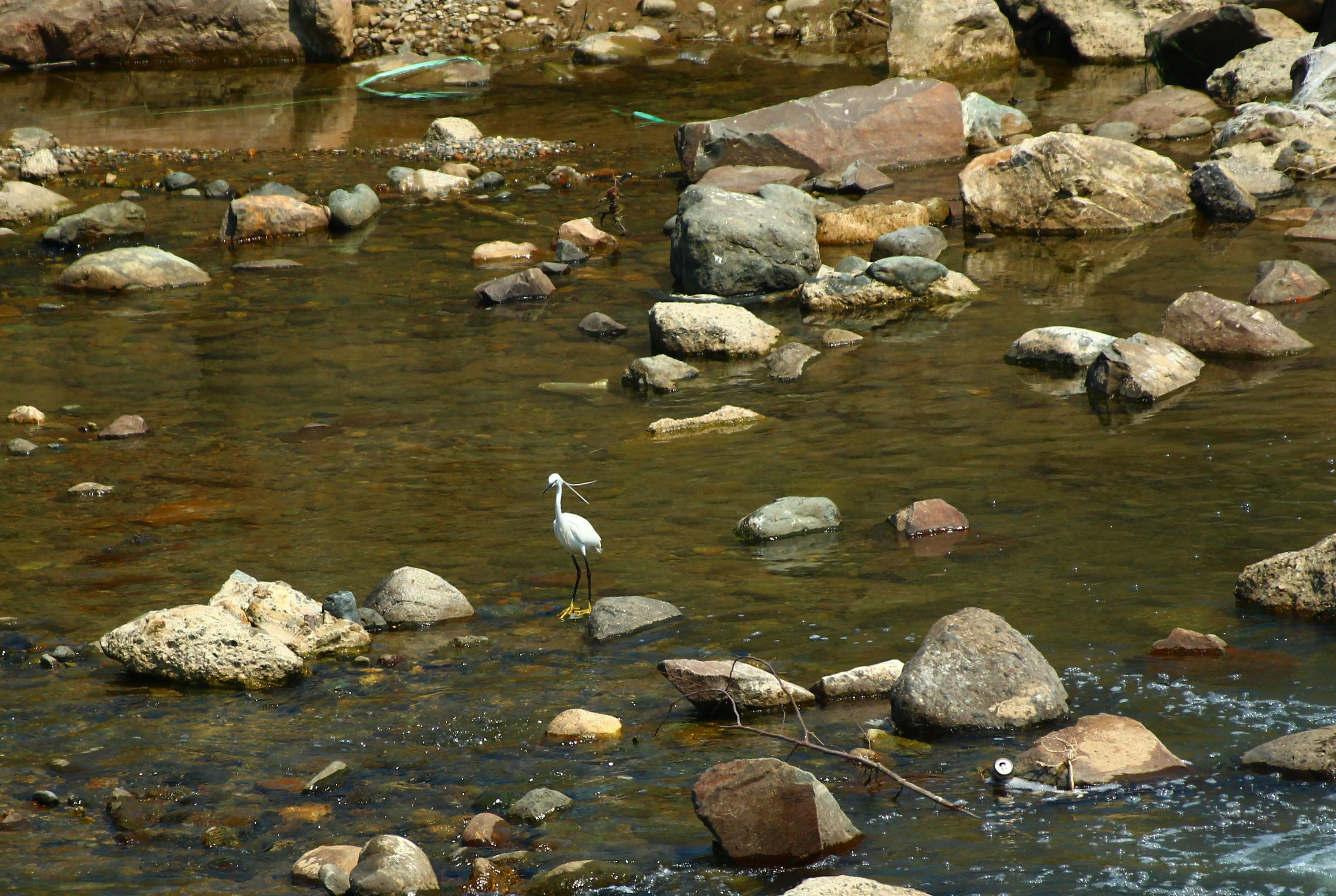 Photo by Seval Torun with Canon EOS 4000D