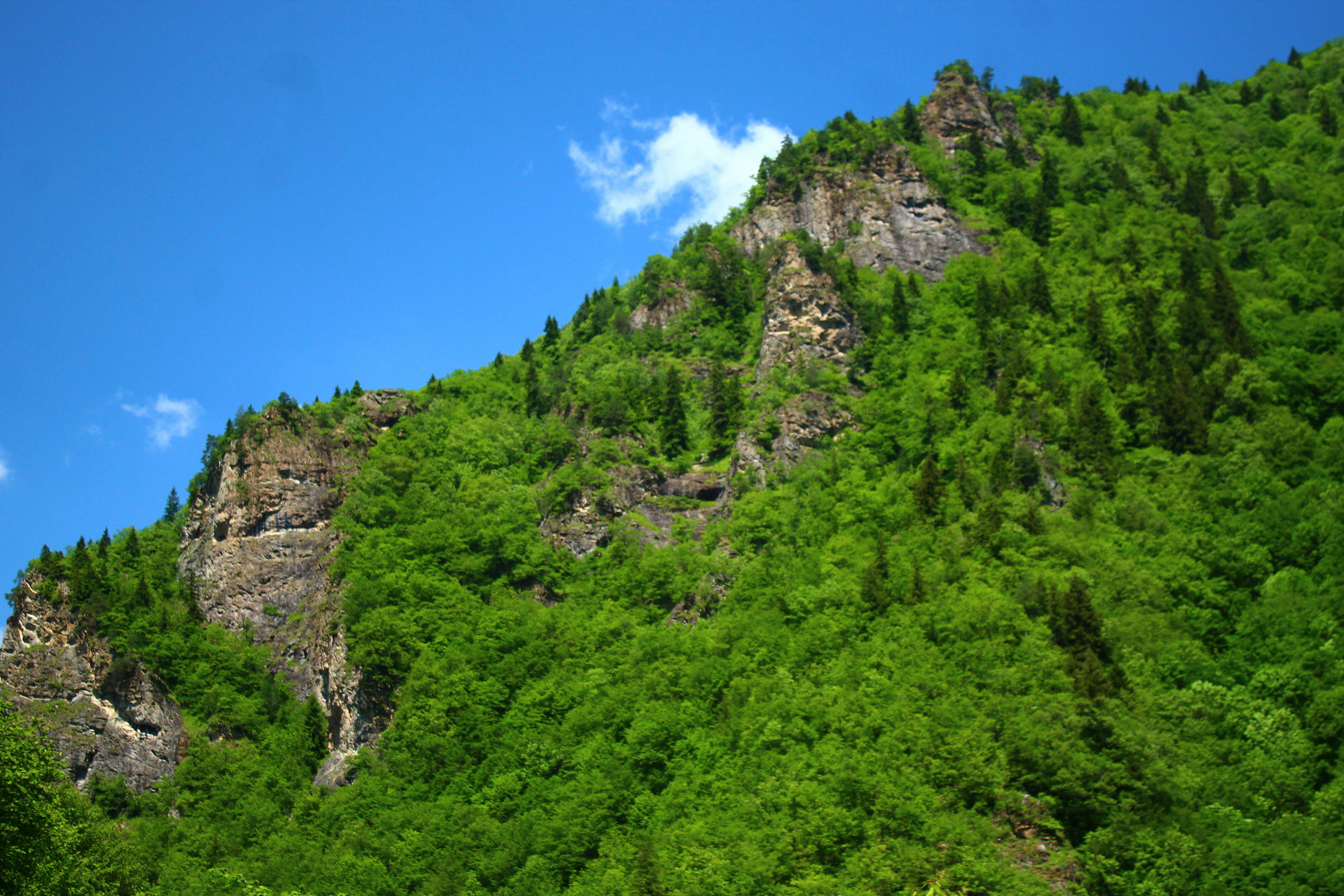 Vibrant green mountainside under a clear blue sky, showcasing the rich textures of foliage and rocky outcrops.