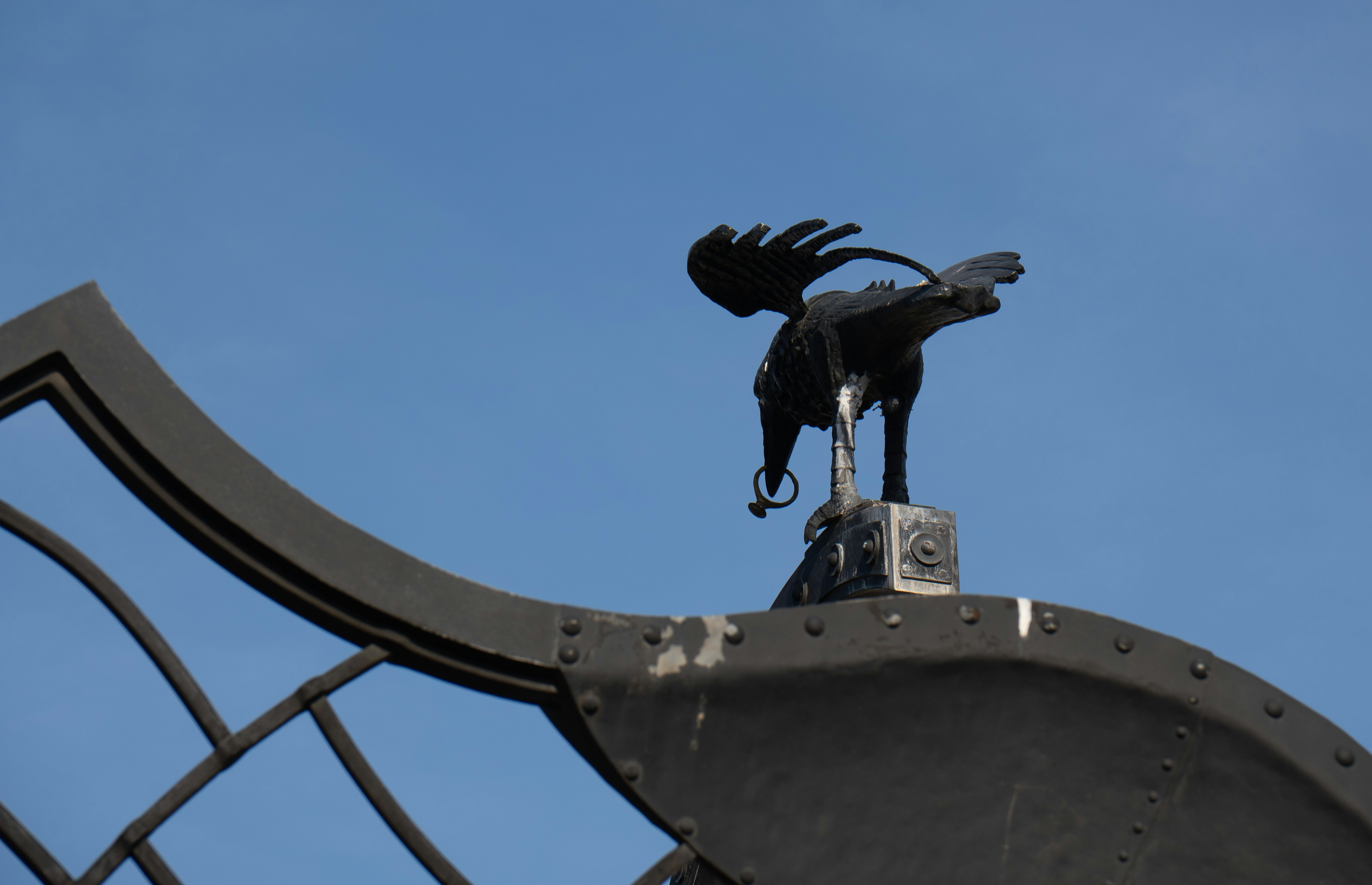 The Sentinel of the Sky