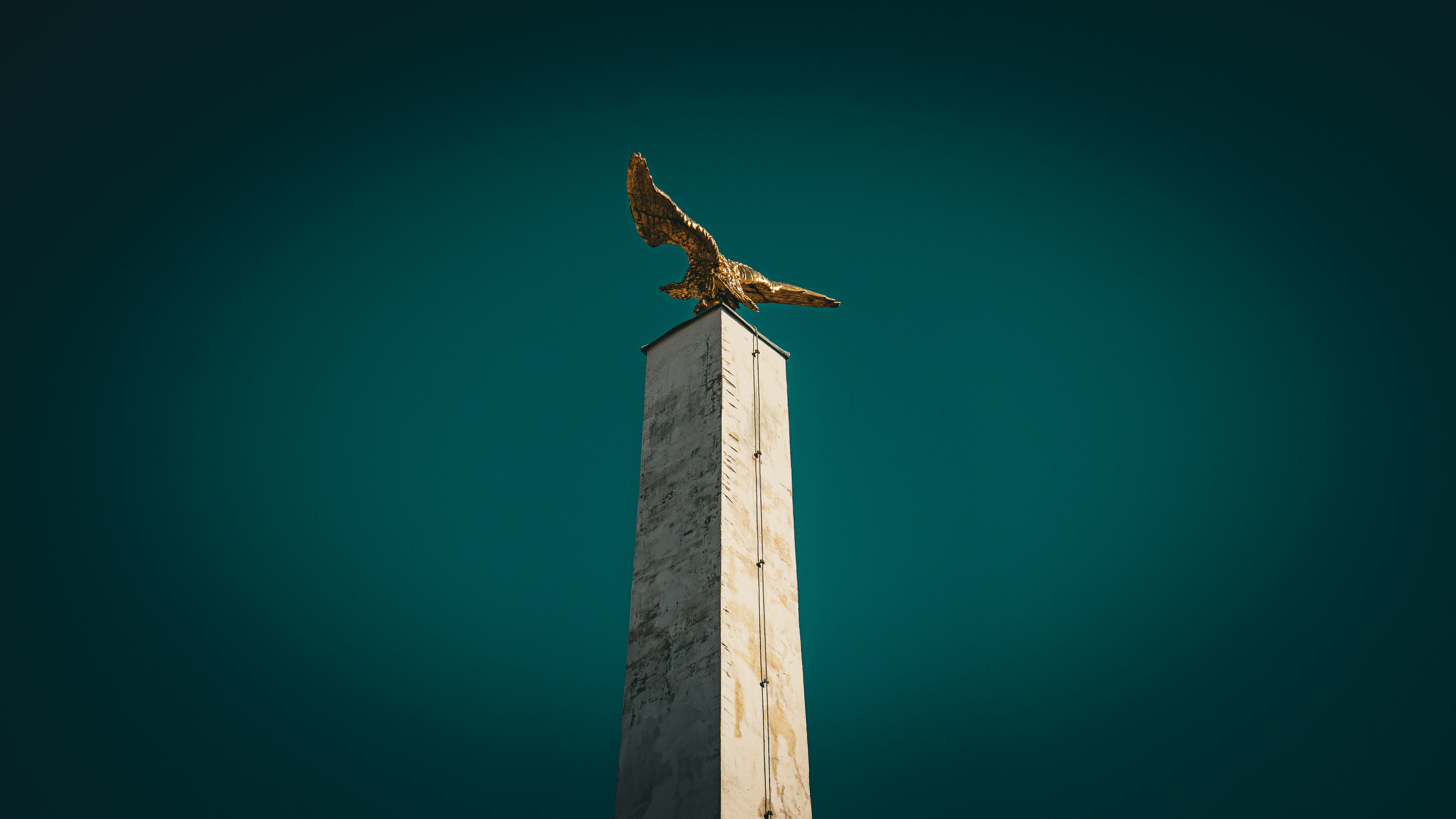 Soaring Symbol of Freedom