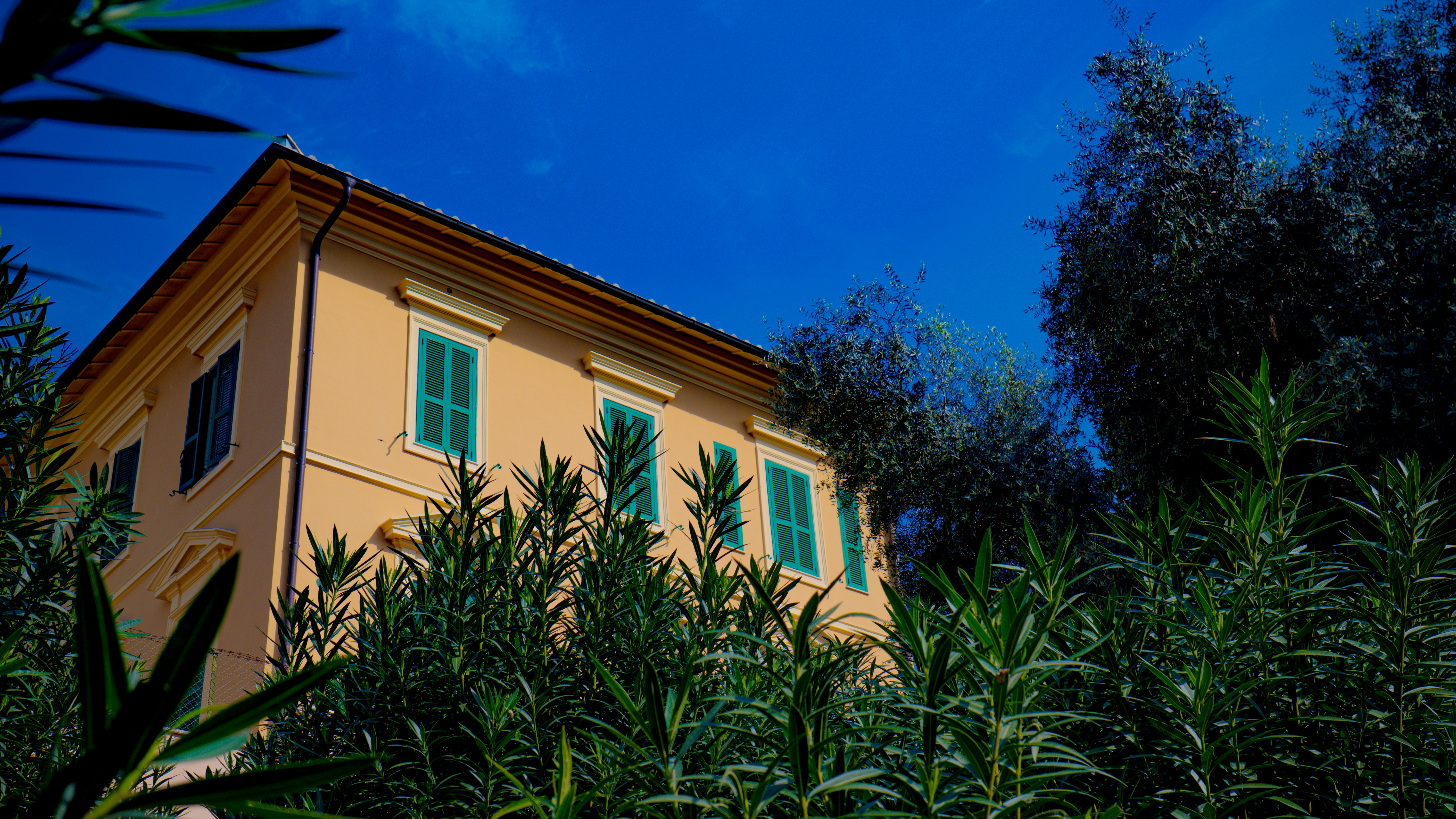 Sunlit Retreat Amidst Lush Greenery