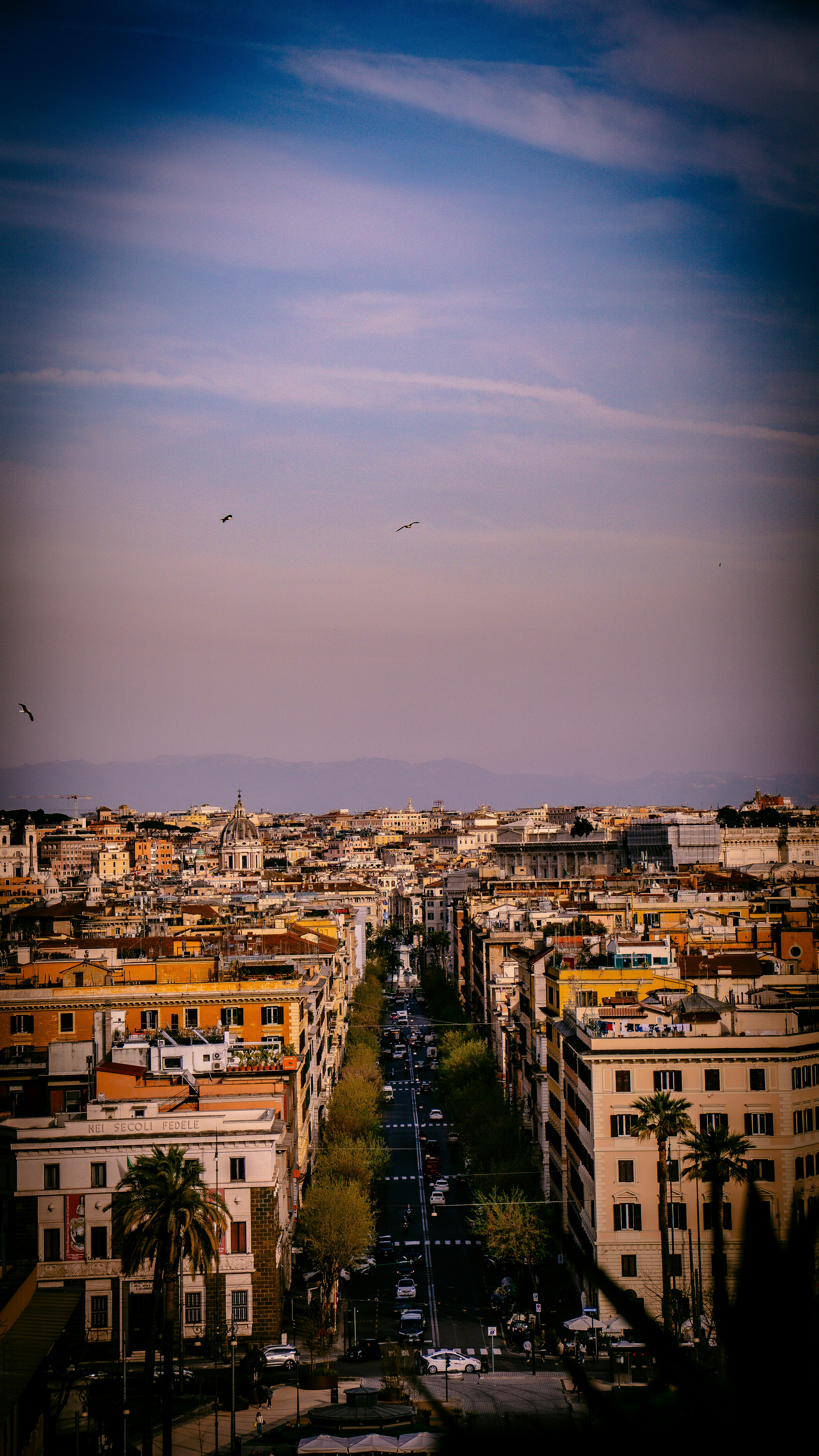 An aerial view of a city street and buildings.