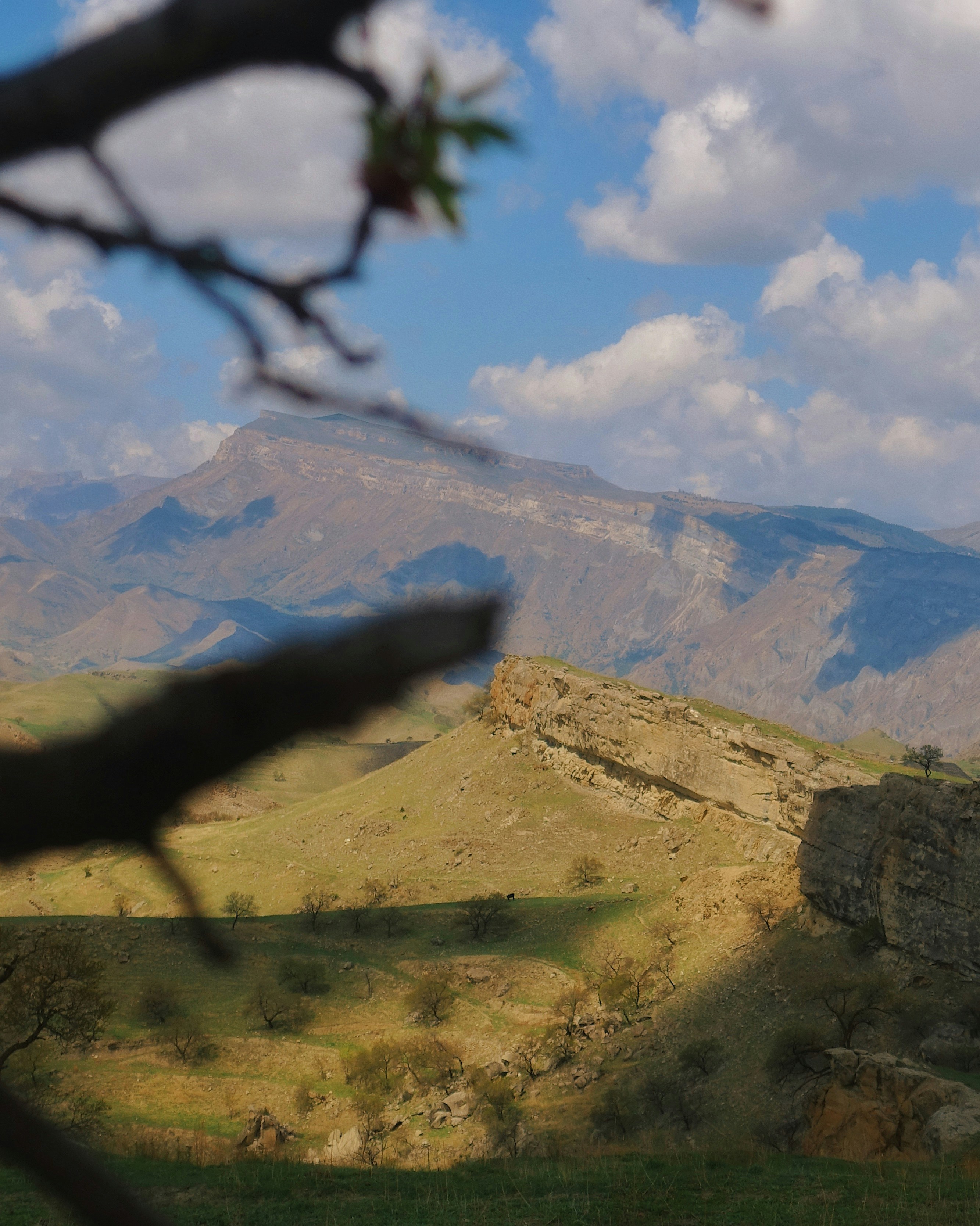 Whispers of the Mountain Landscape
