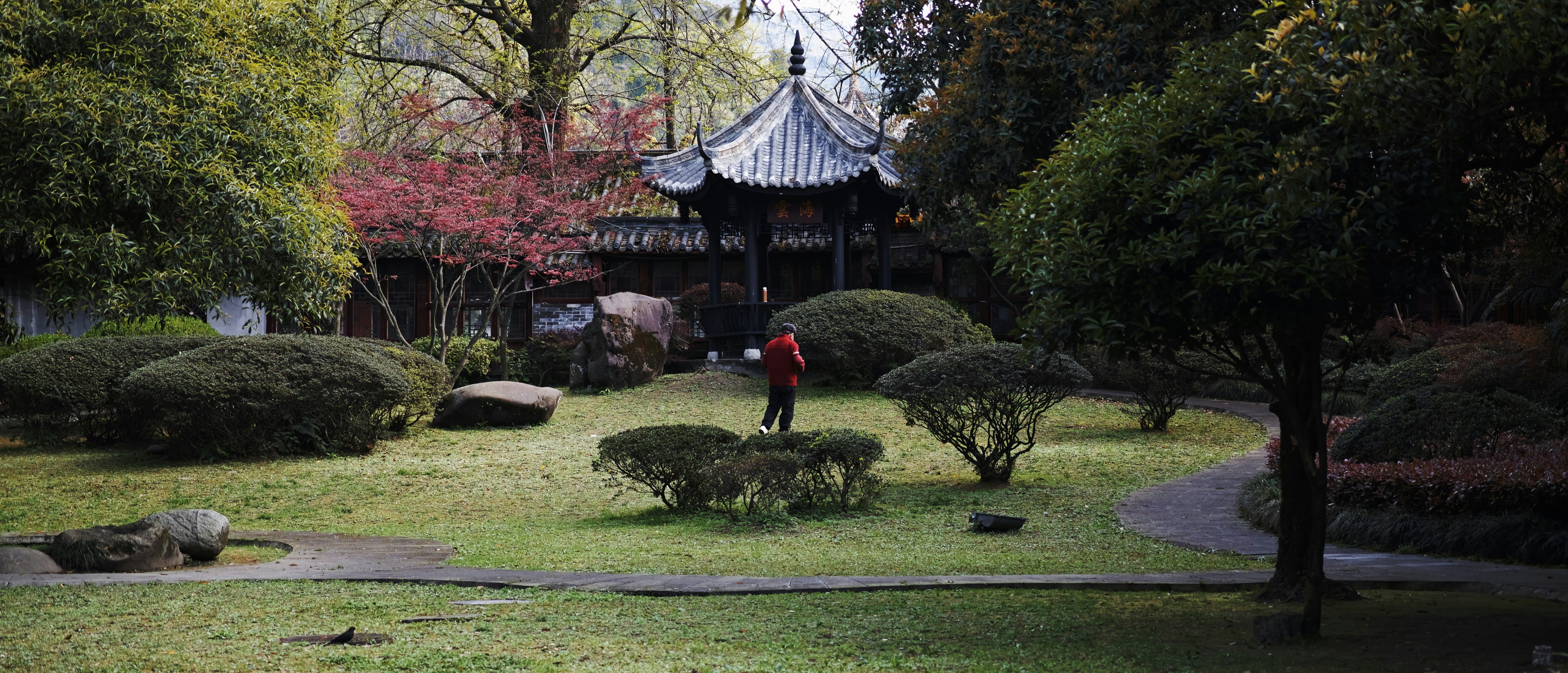 A person stands in a beautiful japanese garden.