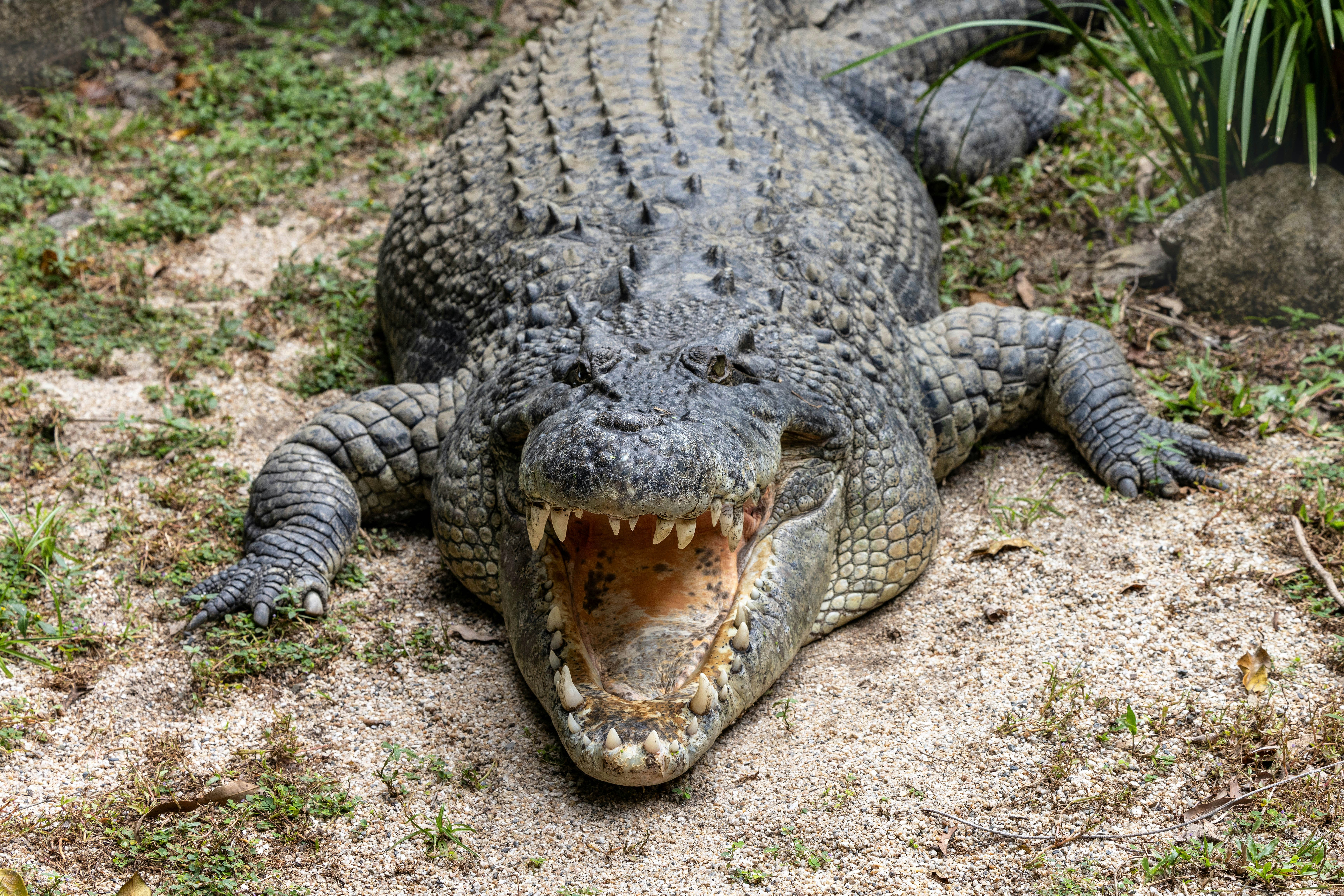 David Clode (@davidclode) | Unsplash Photo Community