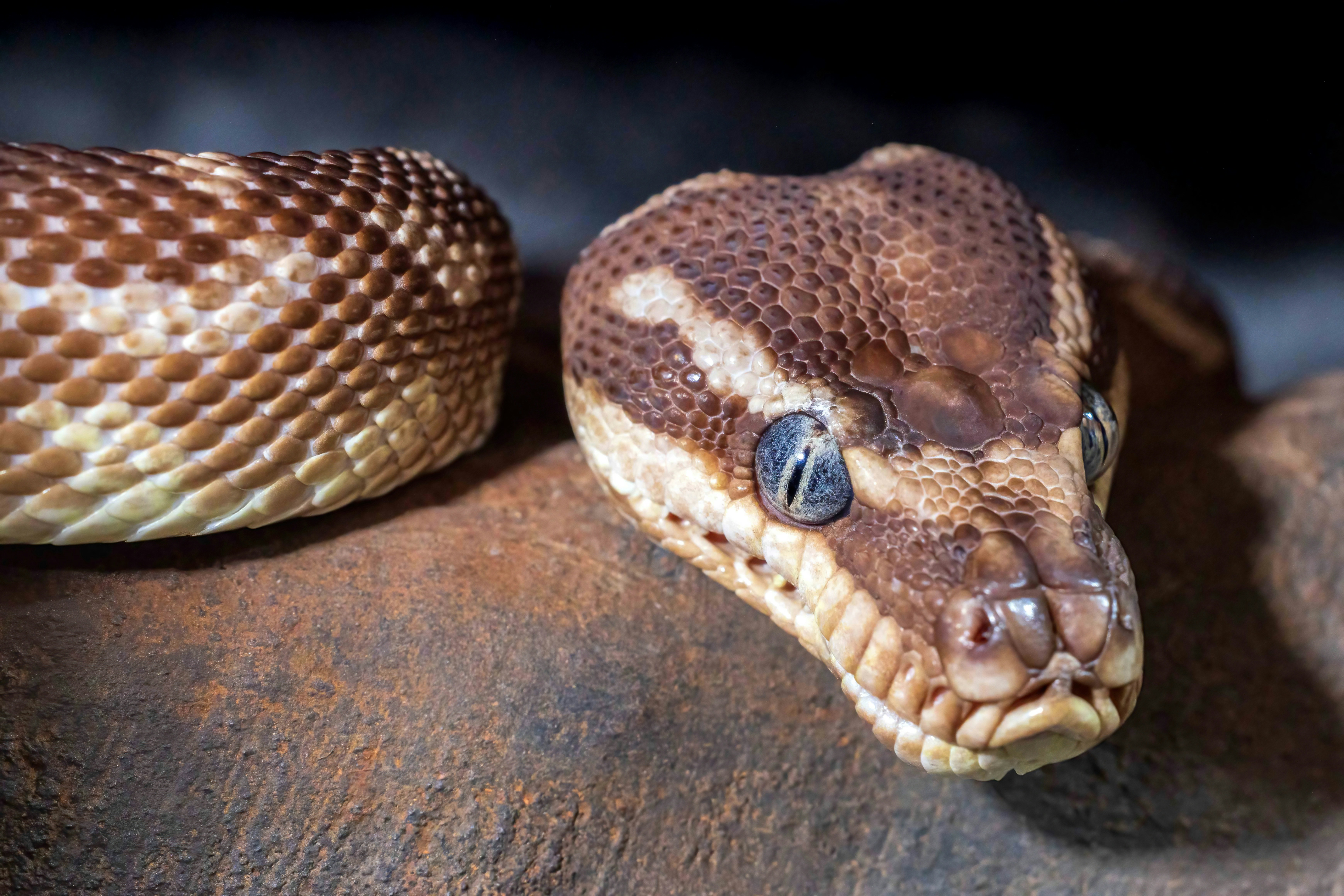 David Clode (@davidclode) | Unsplash Photo Community