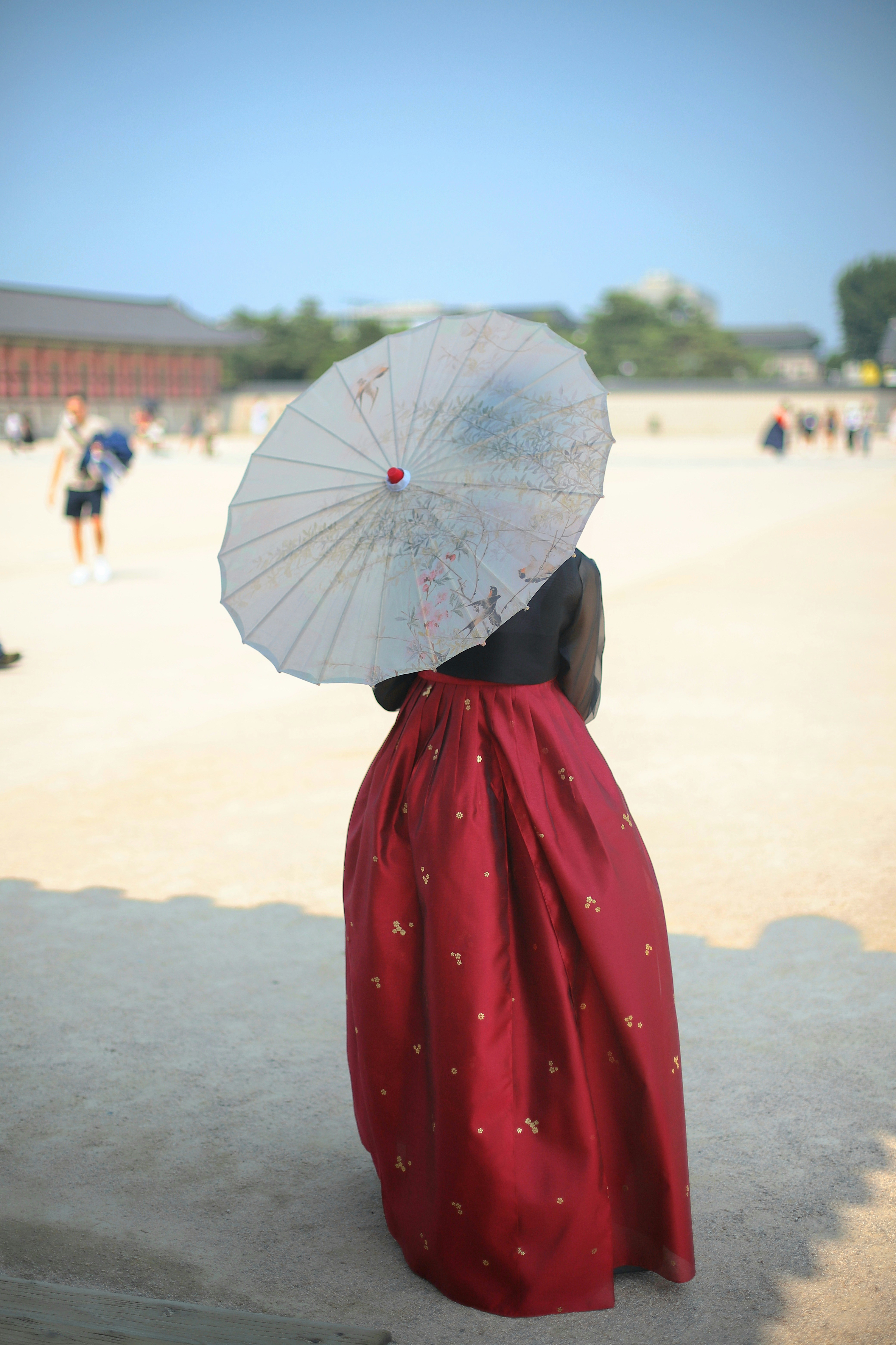 Elegance in Motion: A Traditional Journey