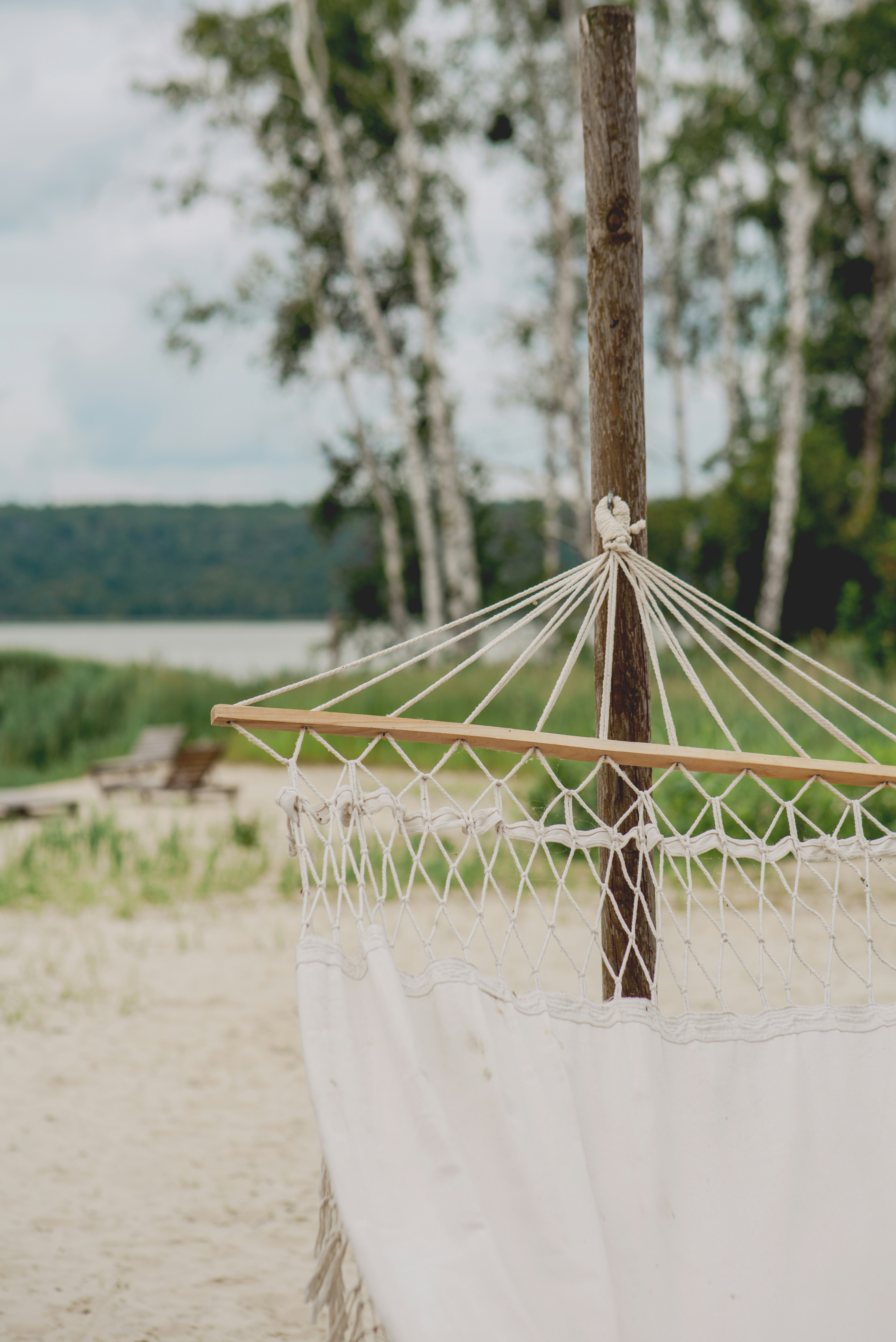 Tranquil Retreat: A Hammock's Embrace