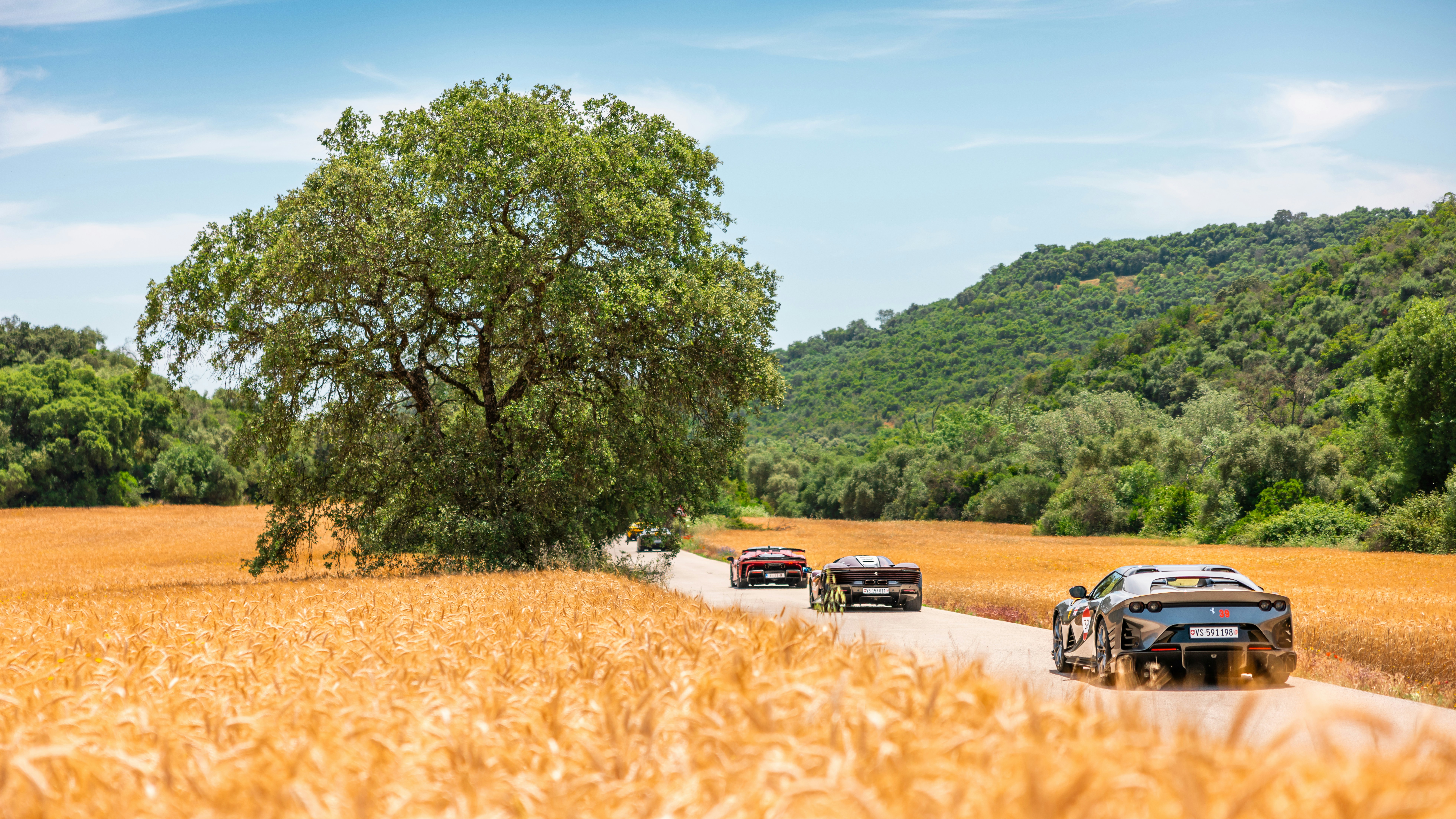 Cars drive along a road through a sunny landscape. photo – Free Spain ...