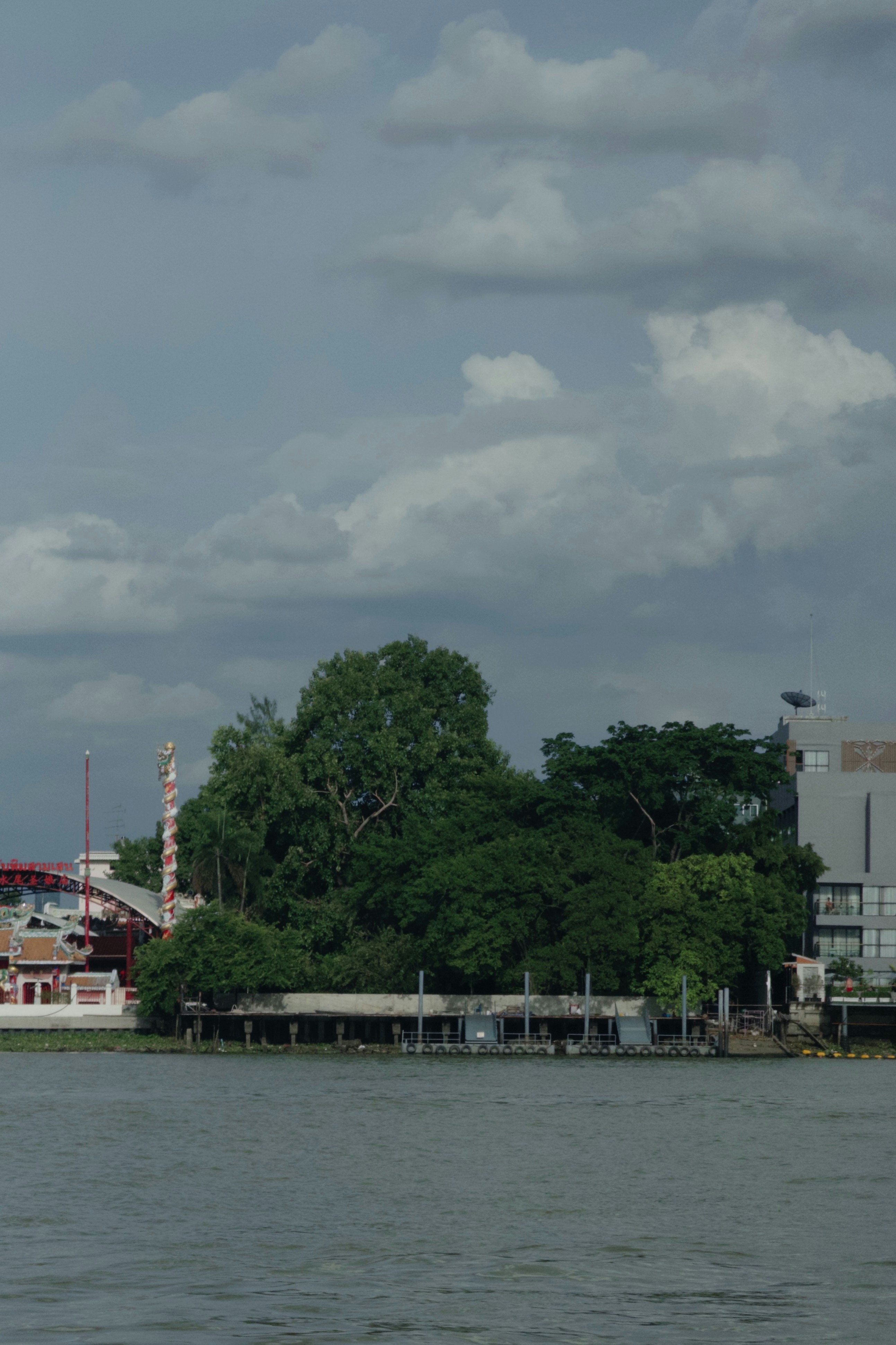 Trees stand on a small island by water.