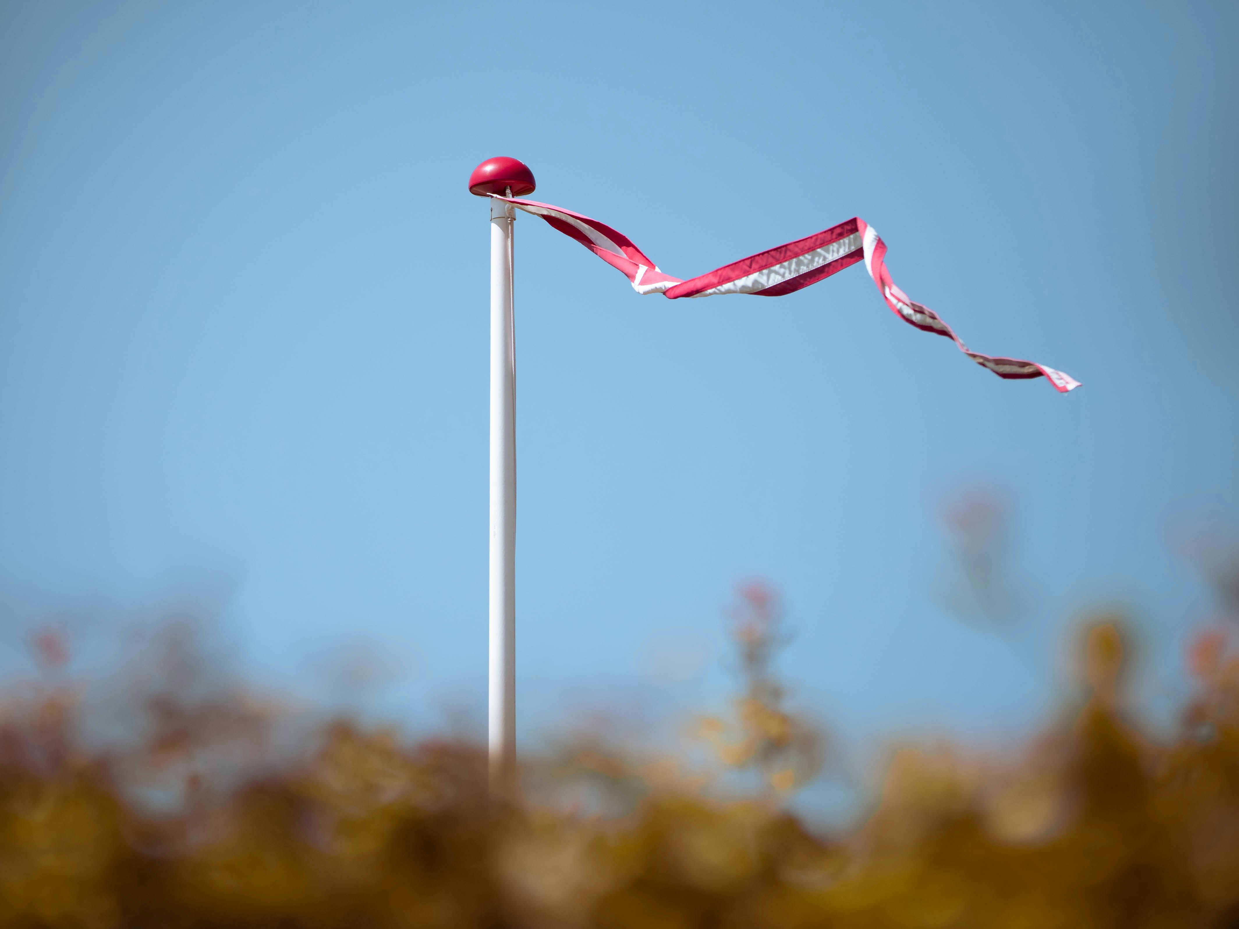 Whispers of the Breeze: A Flag's Dance