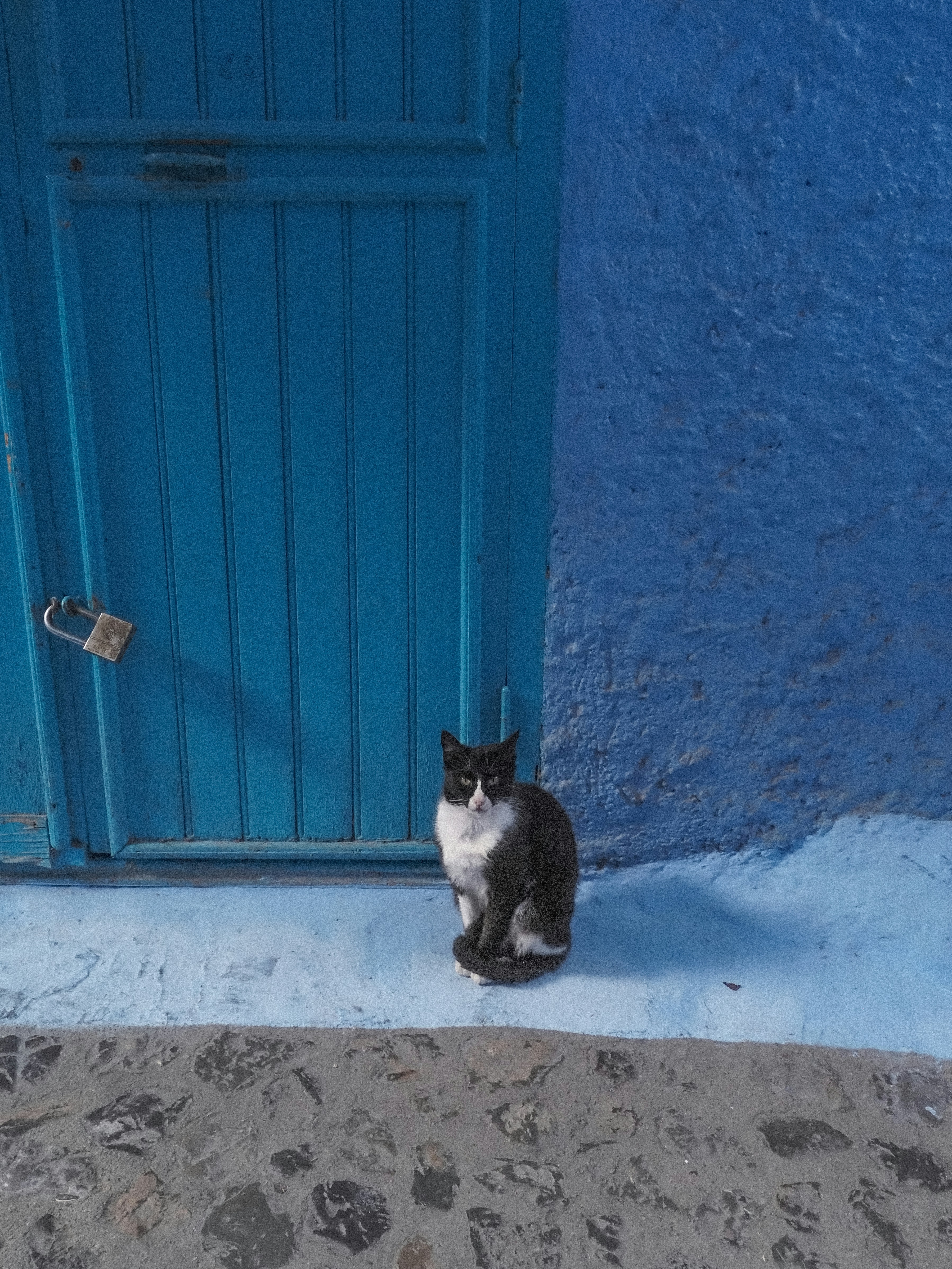 Sample photo from Fujifilm X-HF1