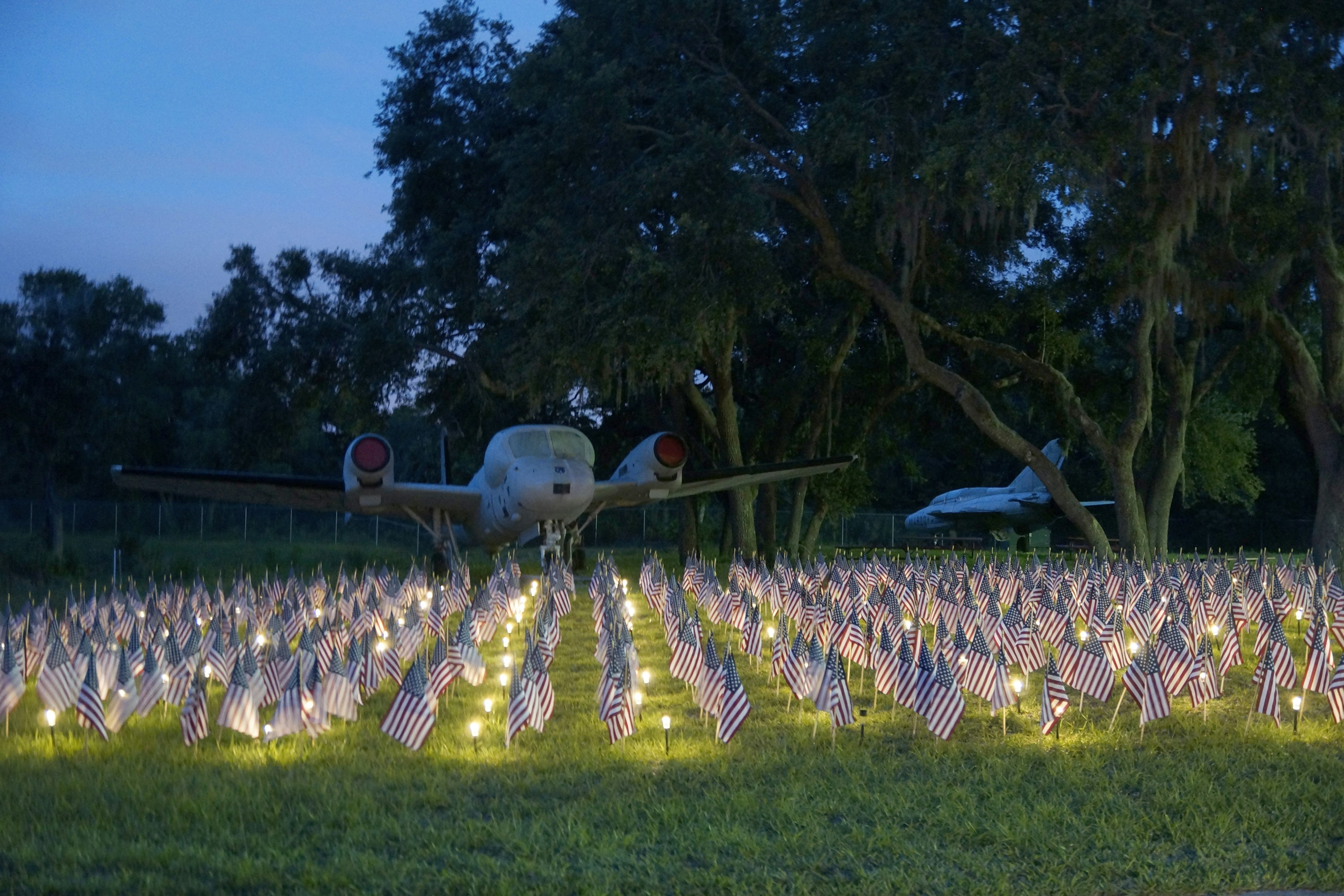 A Tribute in Flight: Flags Beneath the Wings