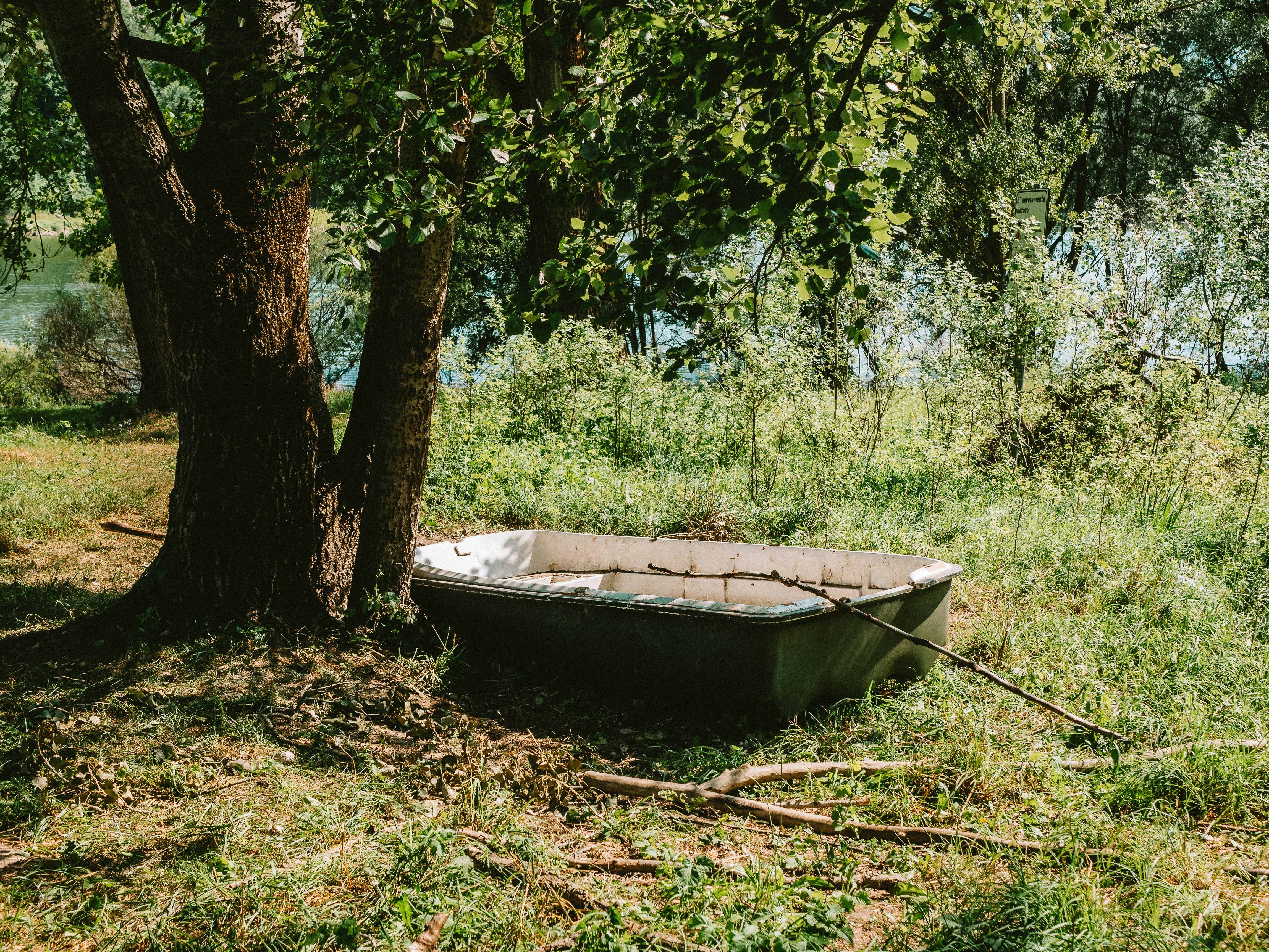 Whispers of Abandonment: The Forgotten Boat