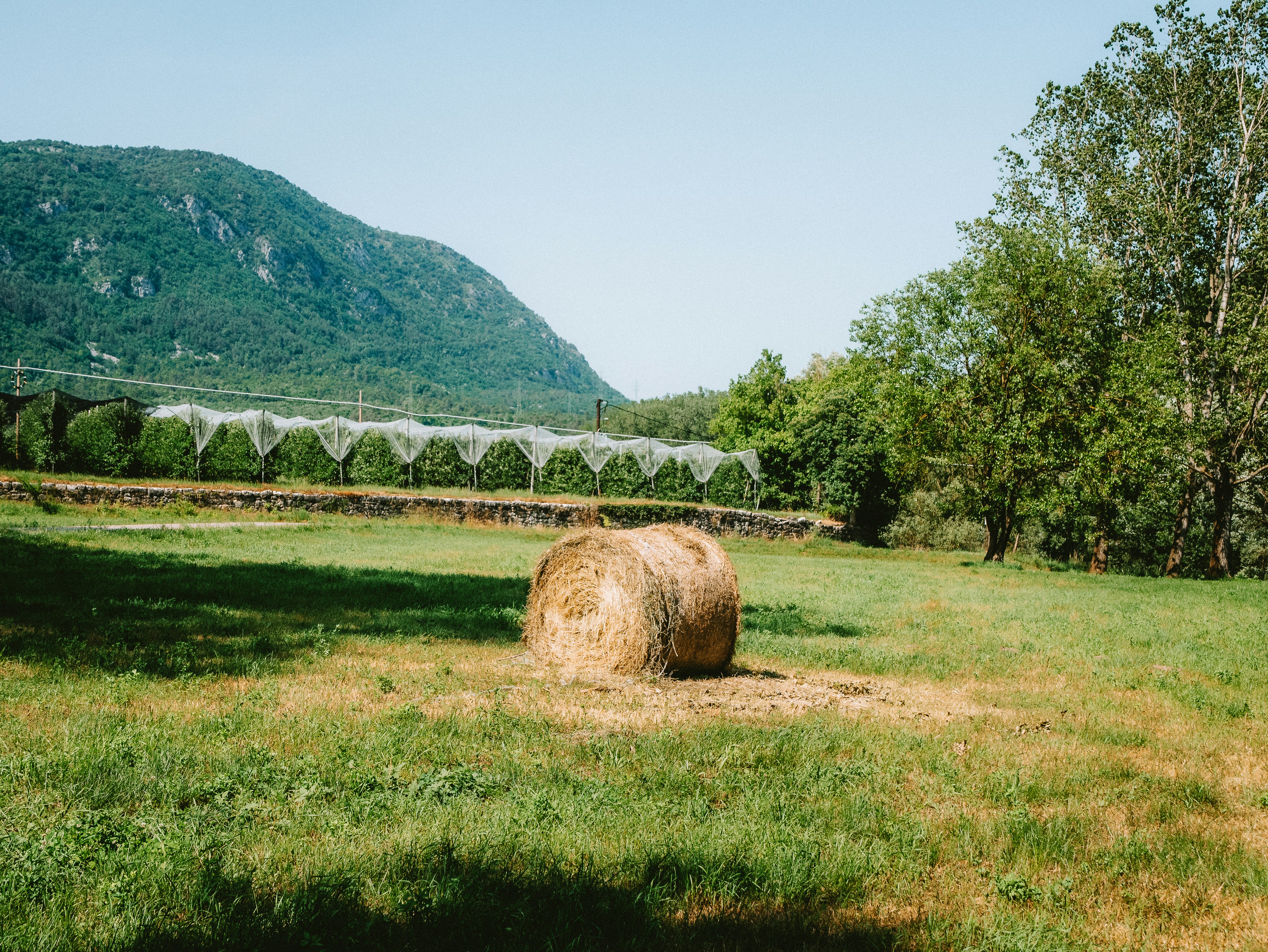 Sunlit Hay Bale Framed by Greenhouse Row and Mountain Backdrop
